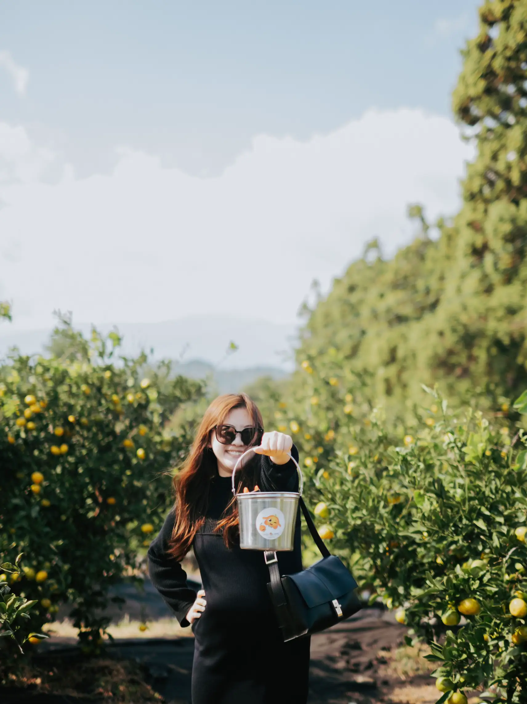 tangerine picking in jeju 🍊🍊 | Gallery posted by Katelyn | Lemon8