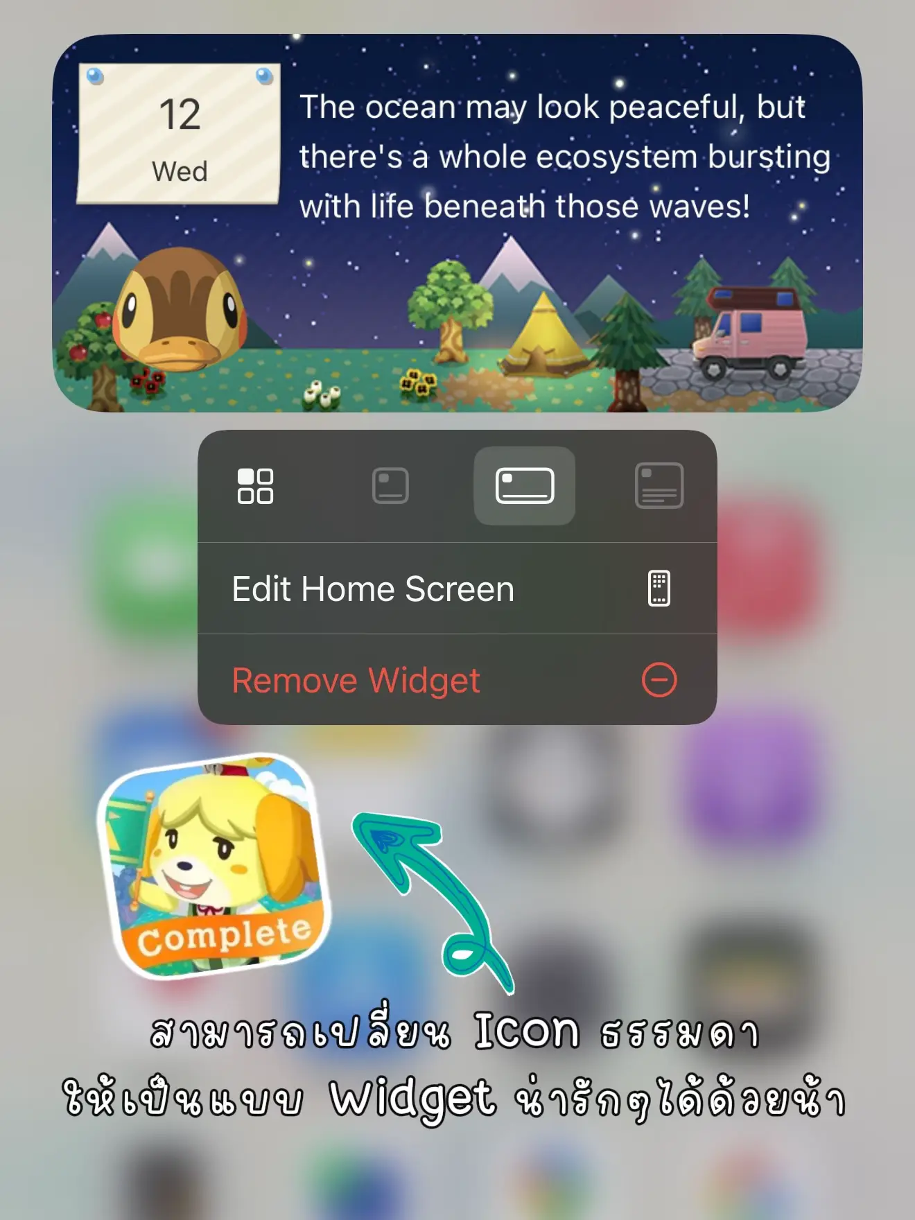 Animal Crossing เวอร์ชั่นมือถือ 🏕️👾📱 | แกลเลอรีที่โพสต์โดย Fasai_Diary | Lemon8