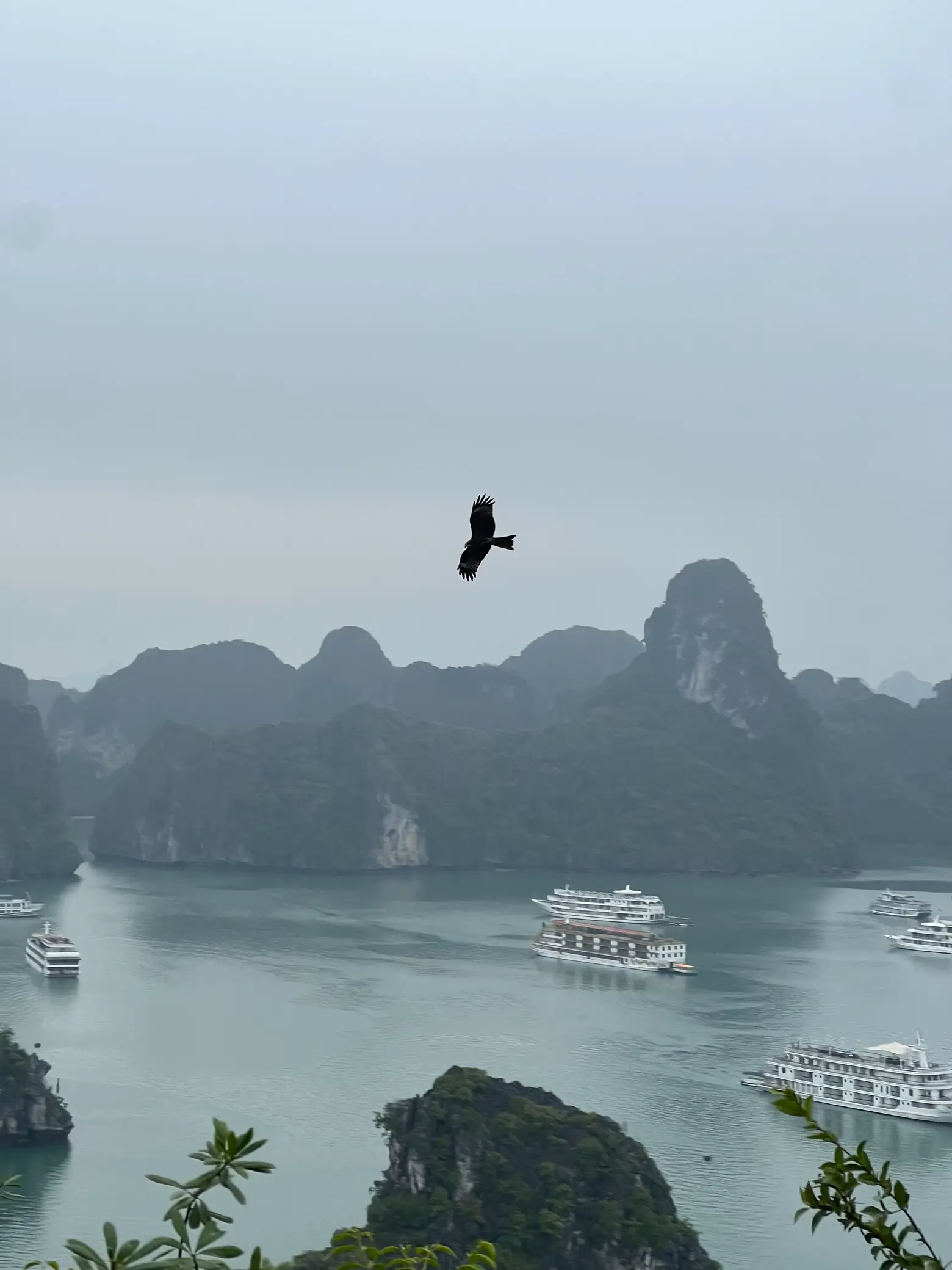 One day in Halong Bay ไปทะเลเวียดนามกันน | แกลเลอรีที่โพสต์โดย P🧡 | Lemon8