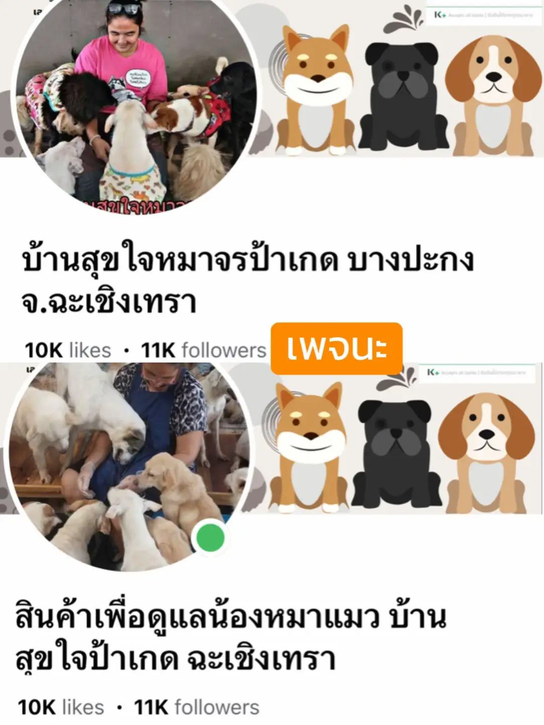 ไปเยี่ยมน้องหมาจรกัน🐶🐶ep 2 | แกลเลอรีที่โพสต์โดย Kiwi | Lemon8