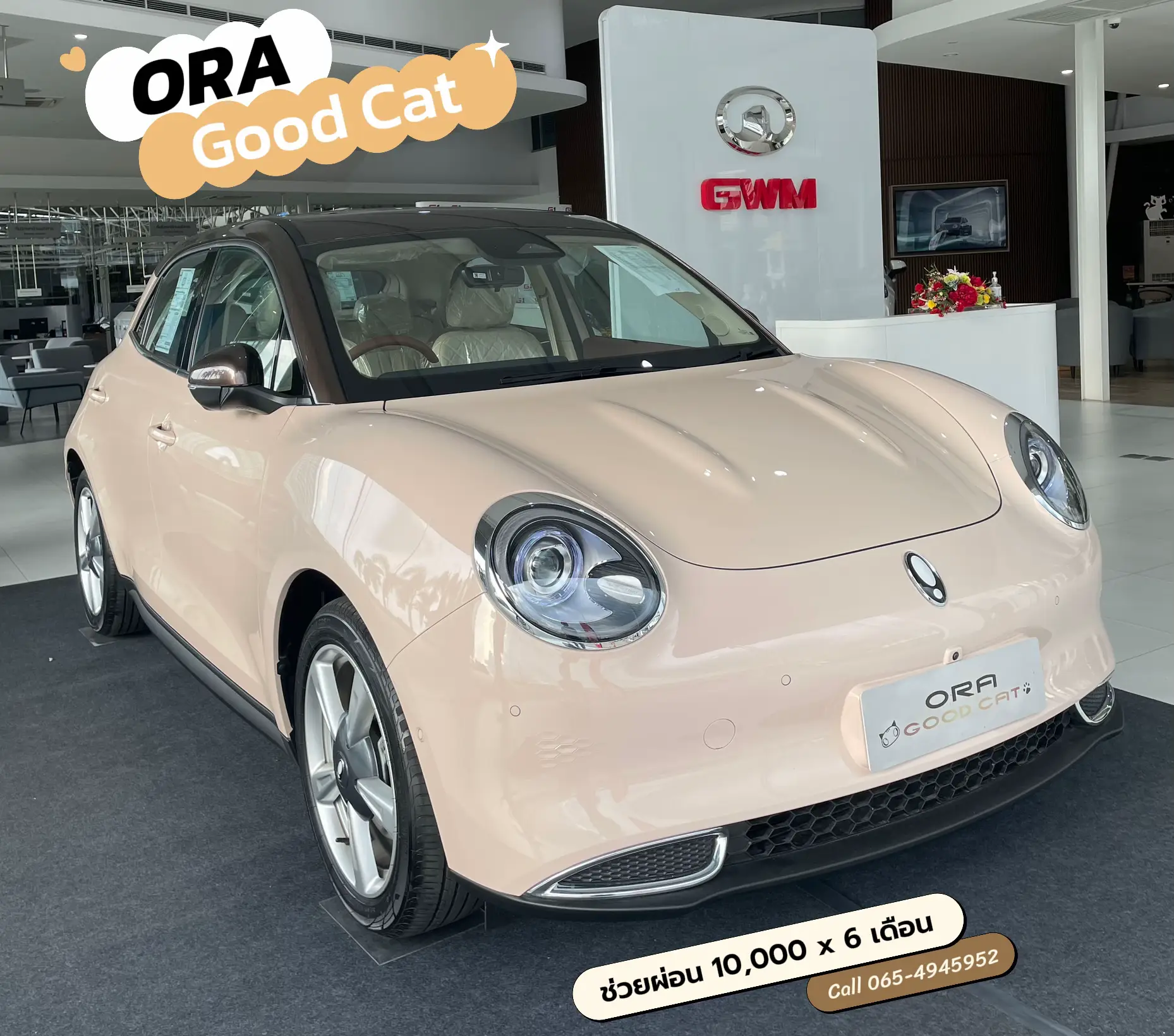 ORA Good Catช่วยผ่อน 10,000 x 6 เดือน | แกลเลอรีที่โพสต์โดย Gift Kawin ...