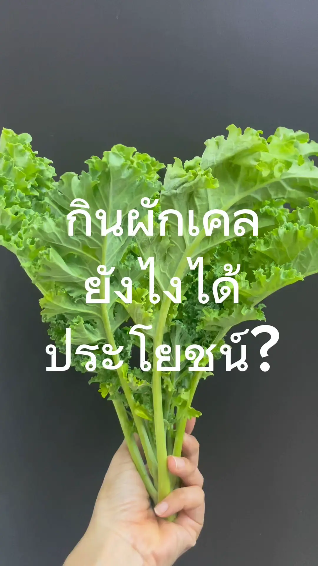 ผักเคล (Kale) ประโยชน์ โทษที่ต้องรู้ และวิธีกินให้ดีต่อสุขภาพ | แกลเลอรีที่โพสต์โดย PloyPloy ...