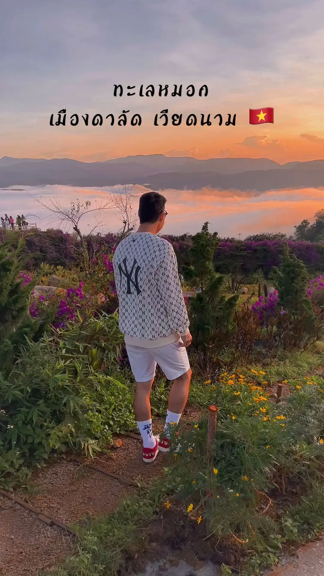 ทะเลหมอก เมืองดาลัด เวียดนาม 🇻🇳 | วิดีโอที่เผยแพร่โดย WithMyShutter | Lemon8