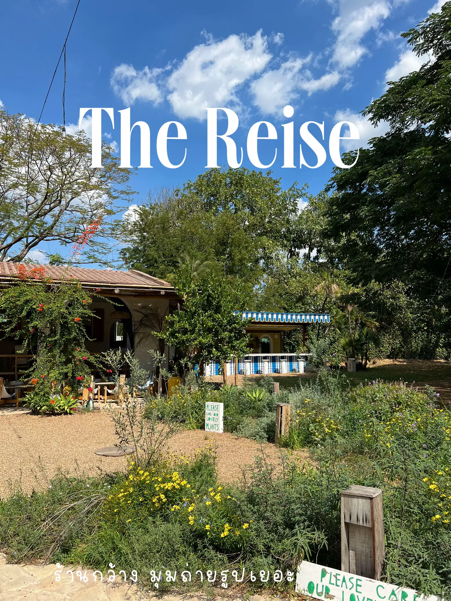 The Reise 🍋 ร้านอาหารอิตาเลียน ย่านประชาชื่น📍 | แกลเลอรีที่โพสต์โดย ...