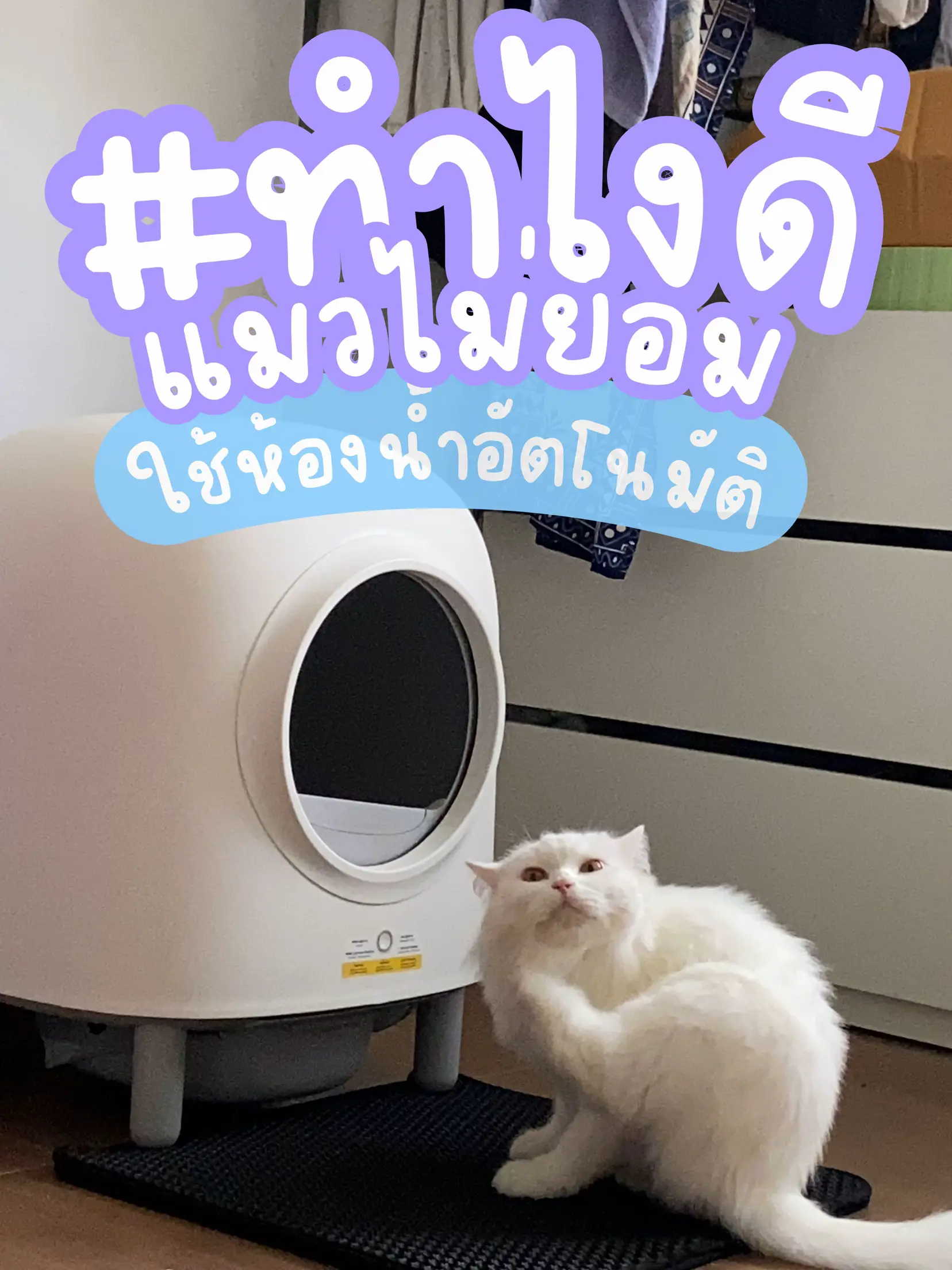 Please help.... Does anyone have a way to get a cat to go to the ...