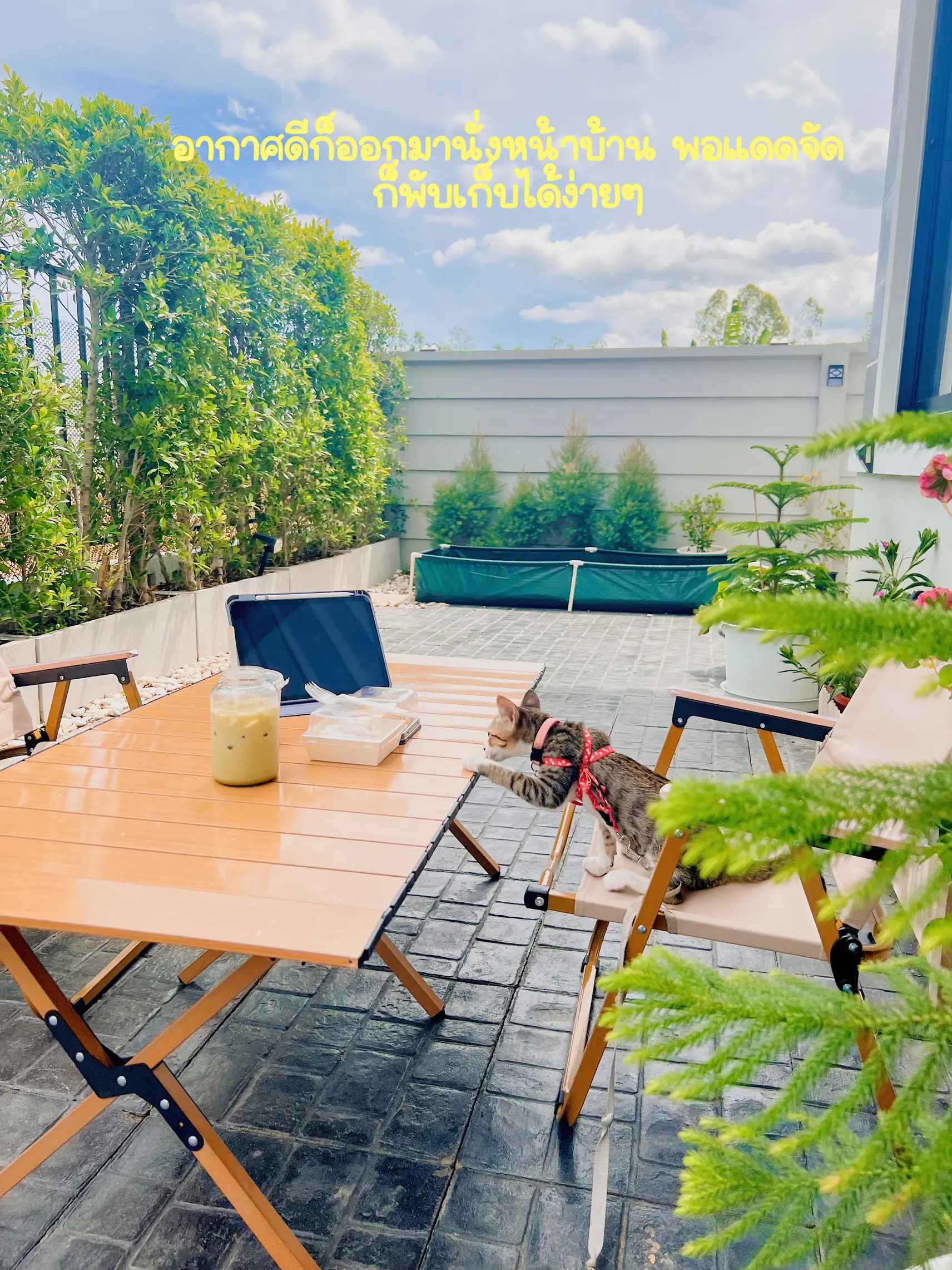 รีวิวโต๊ะเก้าอี้ แคมป์ปิ้ง งบหลักพัน🏕️ | แกลเลอรีที่โพสต์โดย 𝘽𝙖𝙖𝙣 𝘽𝙤𝙬 ...