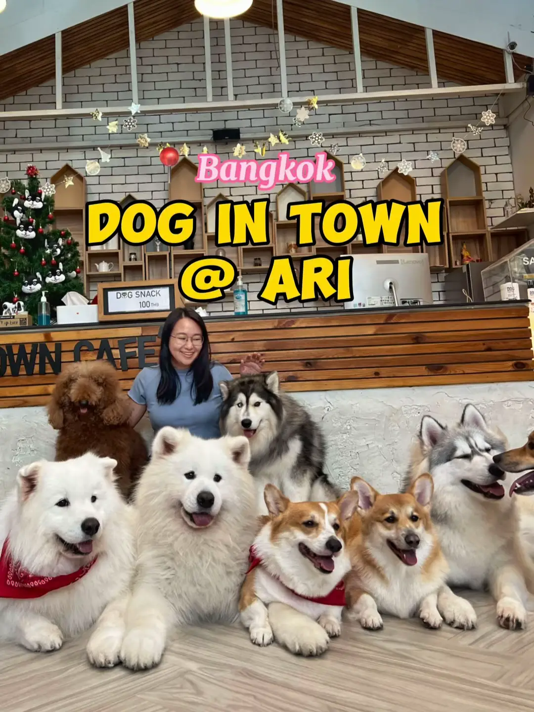 Dog in Town @ Ari | Bangkok | Video diterbitkan oleh Winnie 💙 | Lemon8