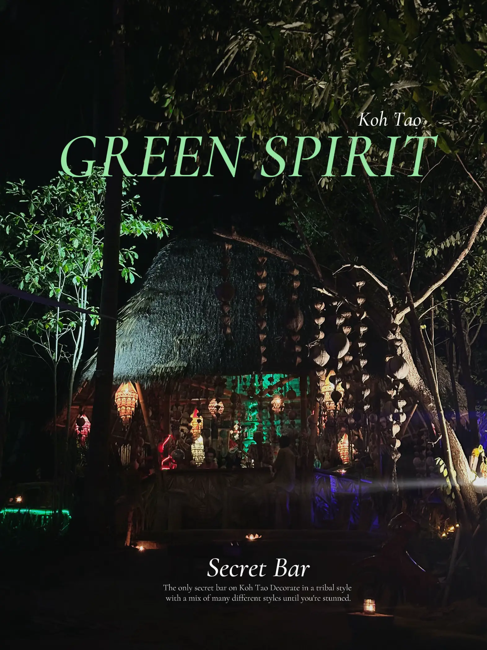 GREEN SPIRIT บาร์ลับหนึ่งเดียวบนเกาะเต่า | แกลเลอรีที่โพสต์โดย Tami ...