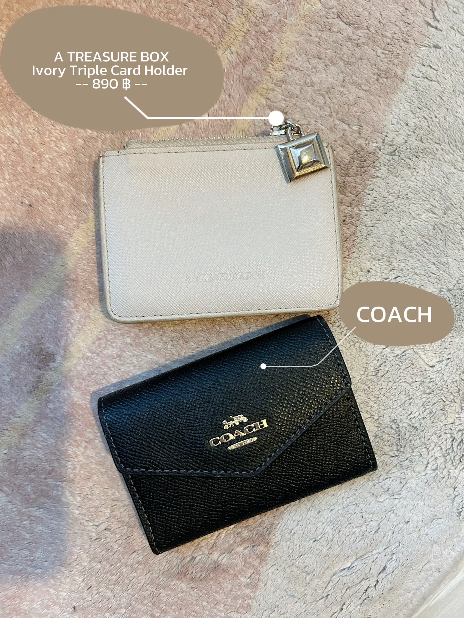 Card Holder : A Treasure Box Vs Coach : กระเป๋าตังจิ๋ว | แกลเลอรีที่ ...