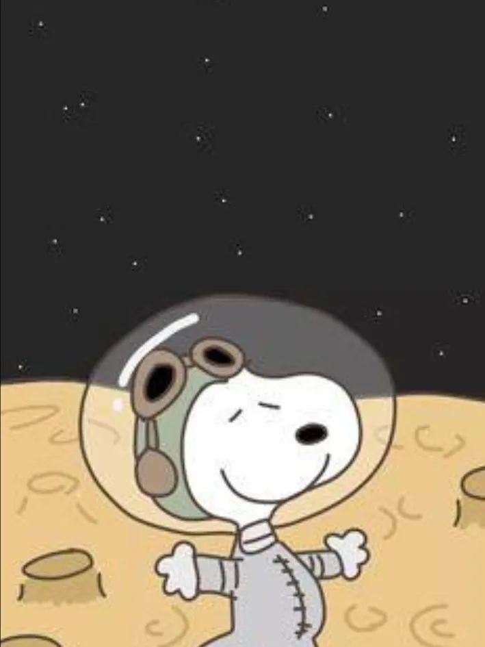 วอลเปอร์เปอร์snoopy - การค้นหาใน Lemon8