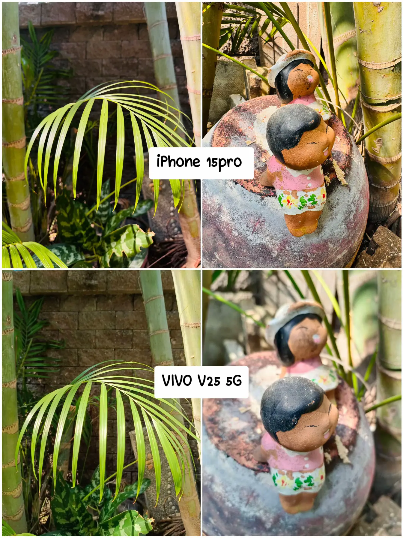 Ep.1 ถ่ายรูปด้วย VIVO vs. IPHONE | แกลเลอรีที่โพสต์โดย Rada.suw | Lemon8