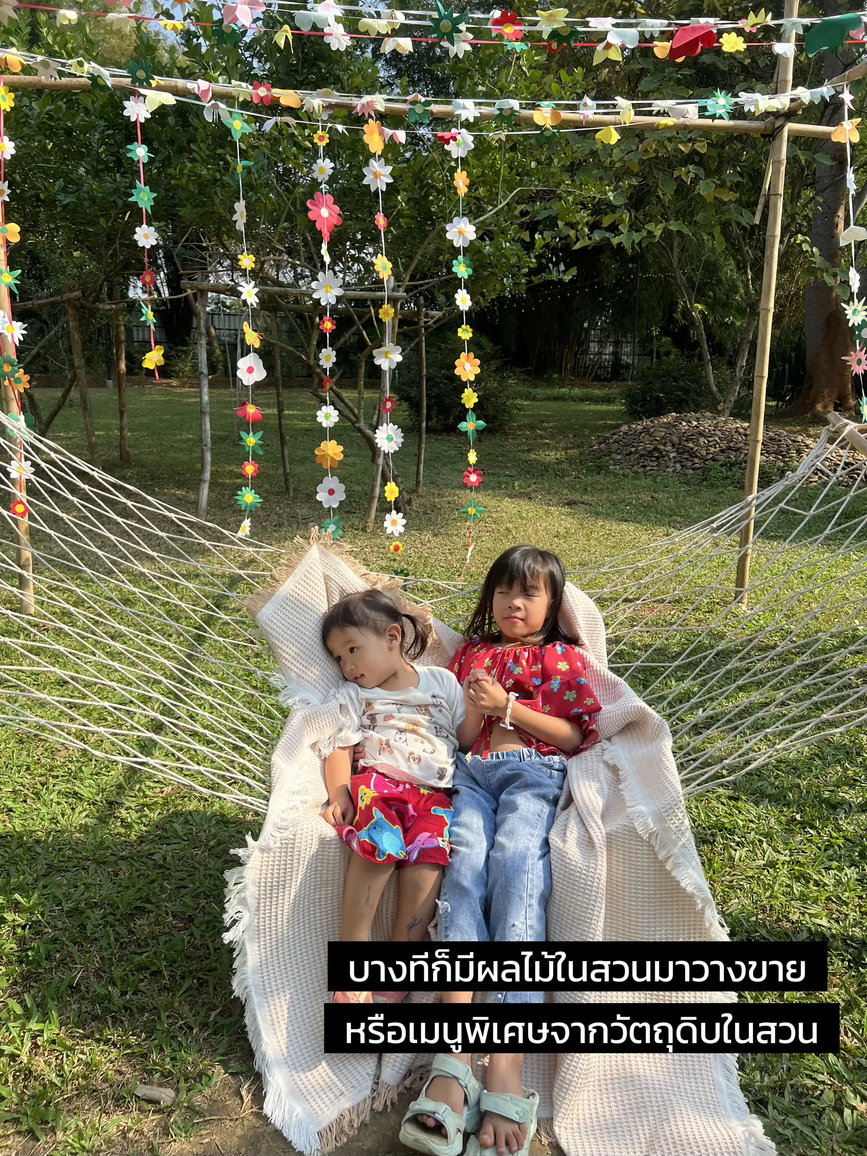 ในแมกไม้ คาเฟ่เชียงราย | แกลเลอรีที่โพสต์โดย bb_bell | Lemon8