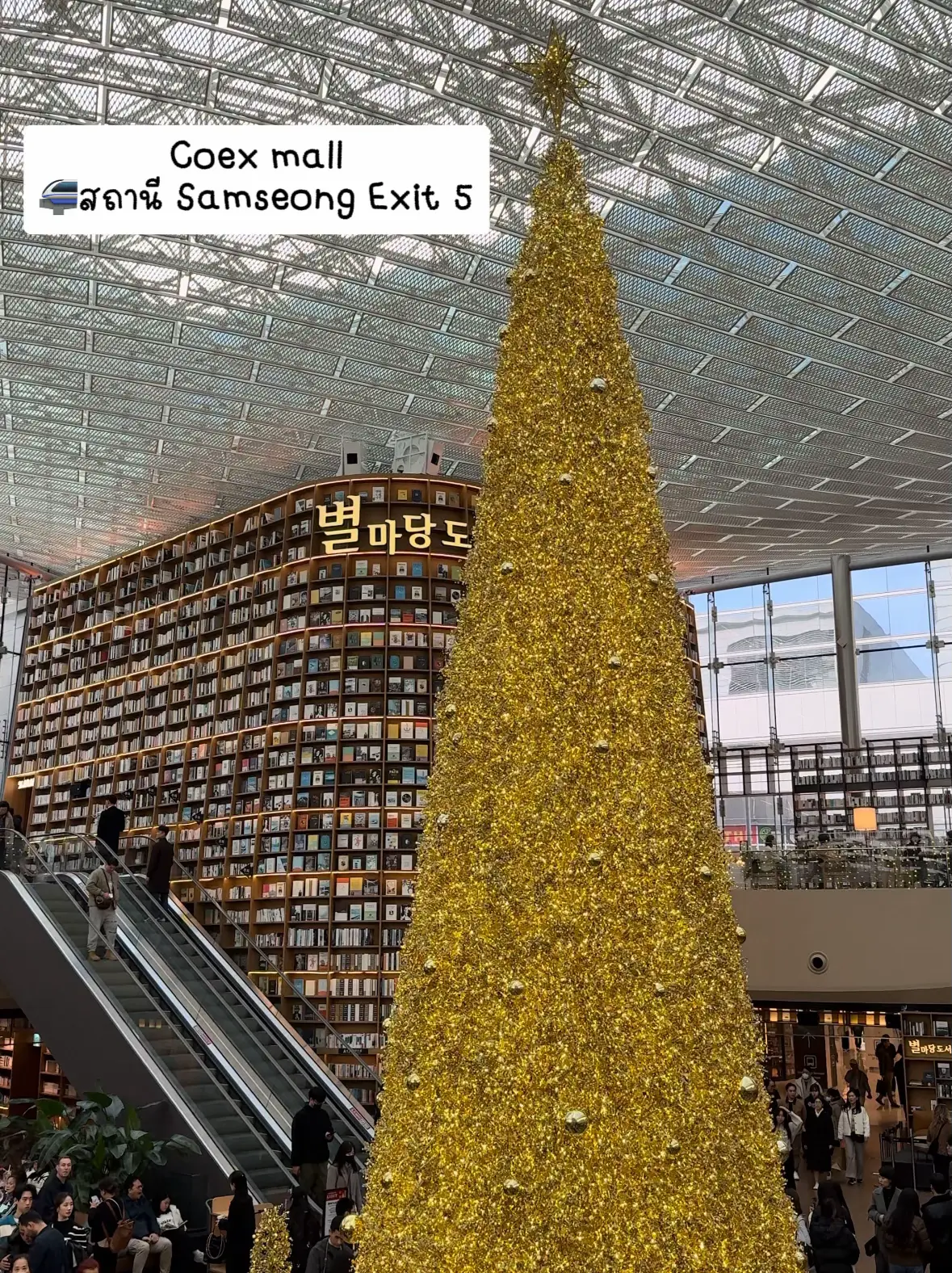 รวมพิกัด Christmas in Korea🎄🇰🇷 | แกลเลอรีที่โพสต์โดย rjir.oa | Lemon8