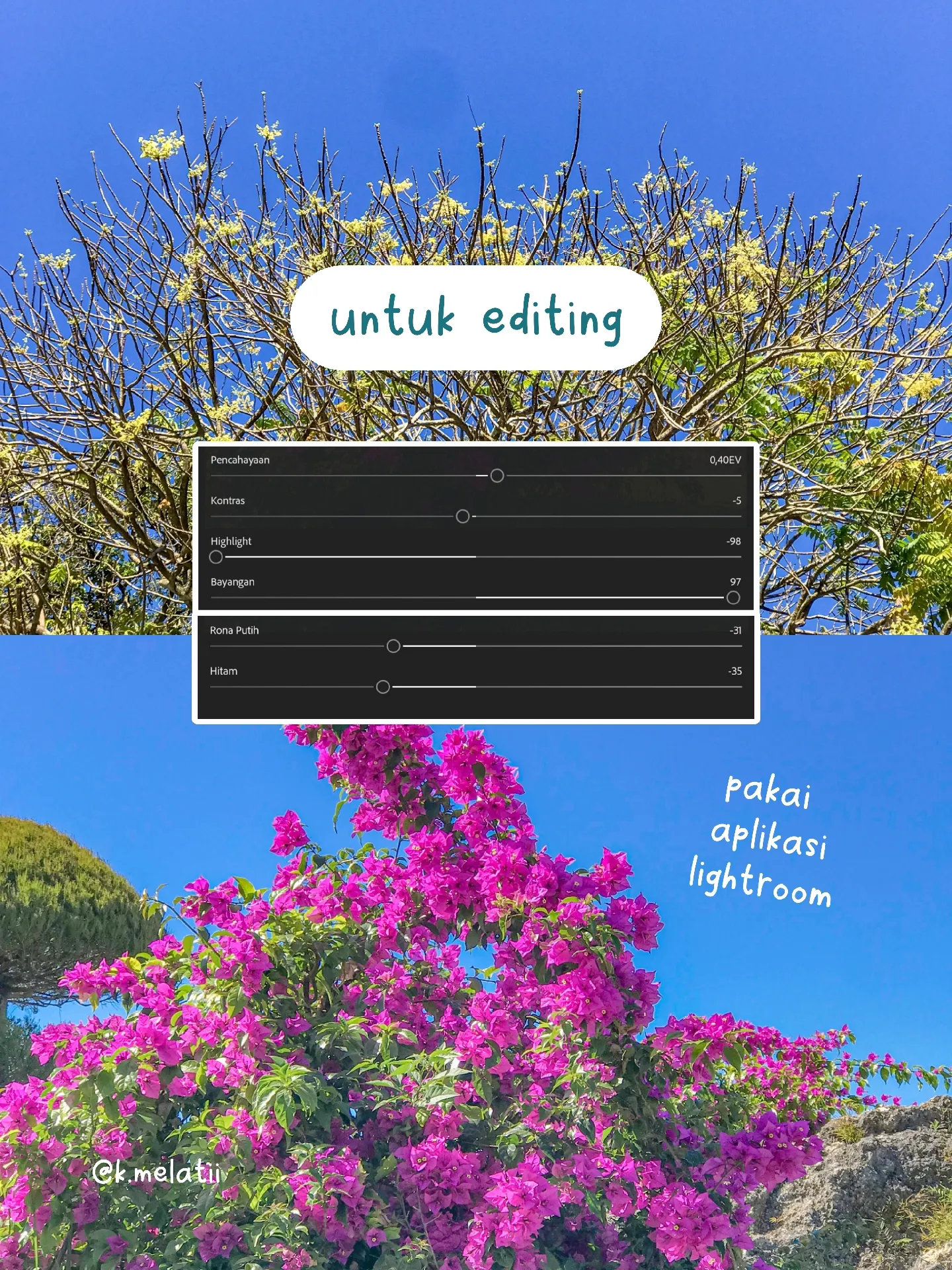 🪴tips foto Korean vibes🪴 | Galeri diposting oleh Karisma Melati | Lemon8