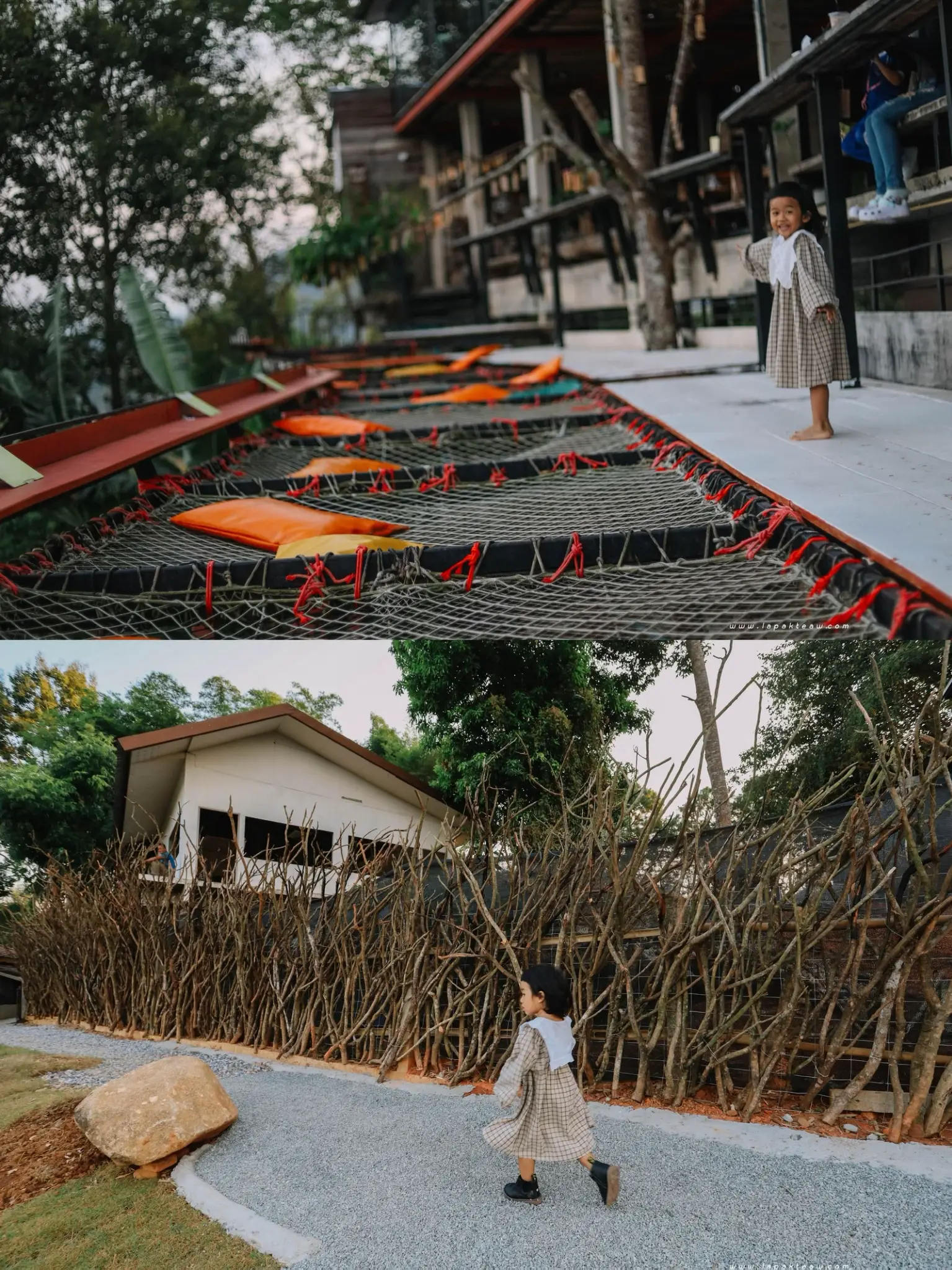 🐑🐏ที่อาข่า คอทเทจ Akha Cottage คาเฟ่ลับๆ เจียงฮาย 🌲 | แกลเลอรีที่โพสต์ ...