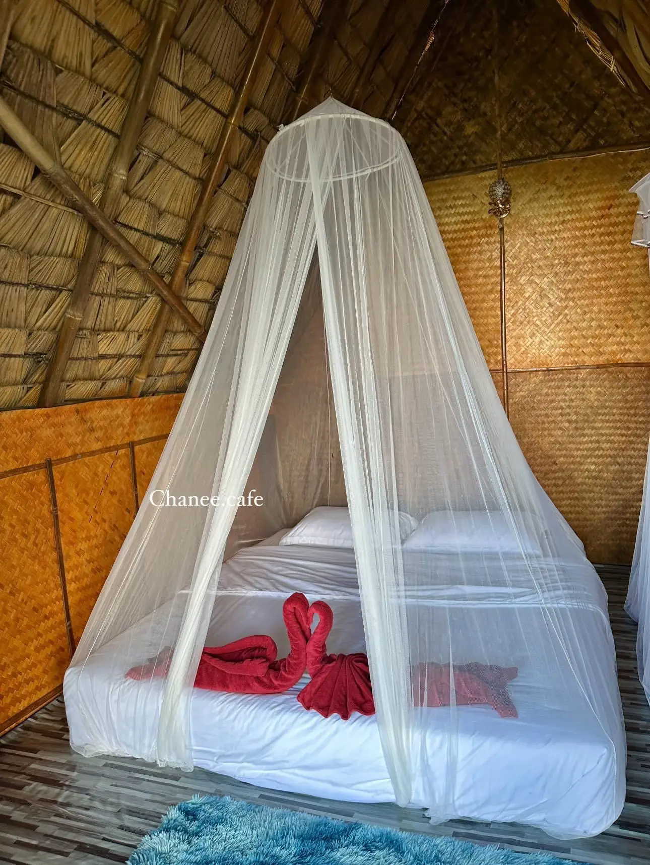 หลงใหลโฮมสเตย์ ม่อนเงาะ 🏕️🌅🌤️ | แกลเลอรีที่โพสต์โดย 𝐅𝐚𝐫𝐞𝐫𝐧 🐰🫧 | Lemon8