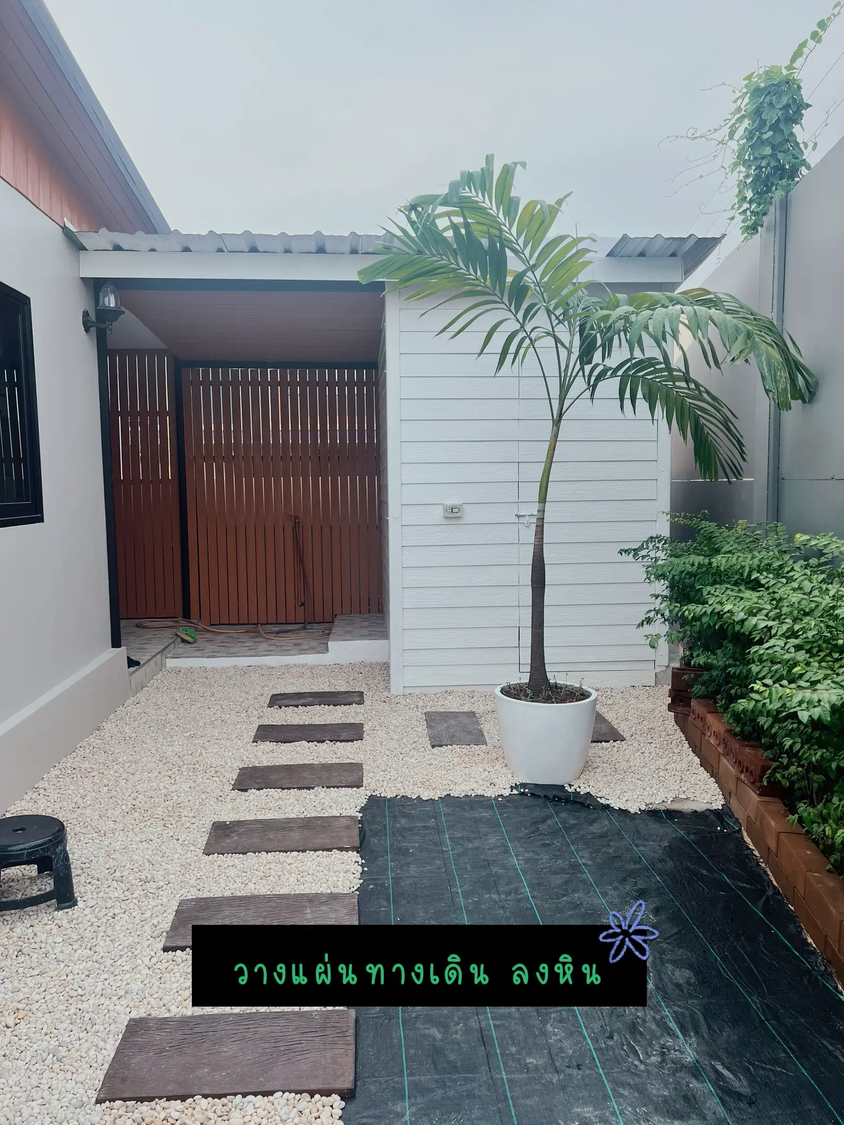 รีวิว สวนข้างบ้าน 🥦🪴🍂 | แกลเลอรีที่โพสต์โดย Pla._.Boo | Lemon8