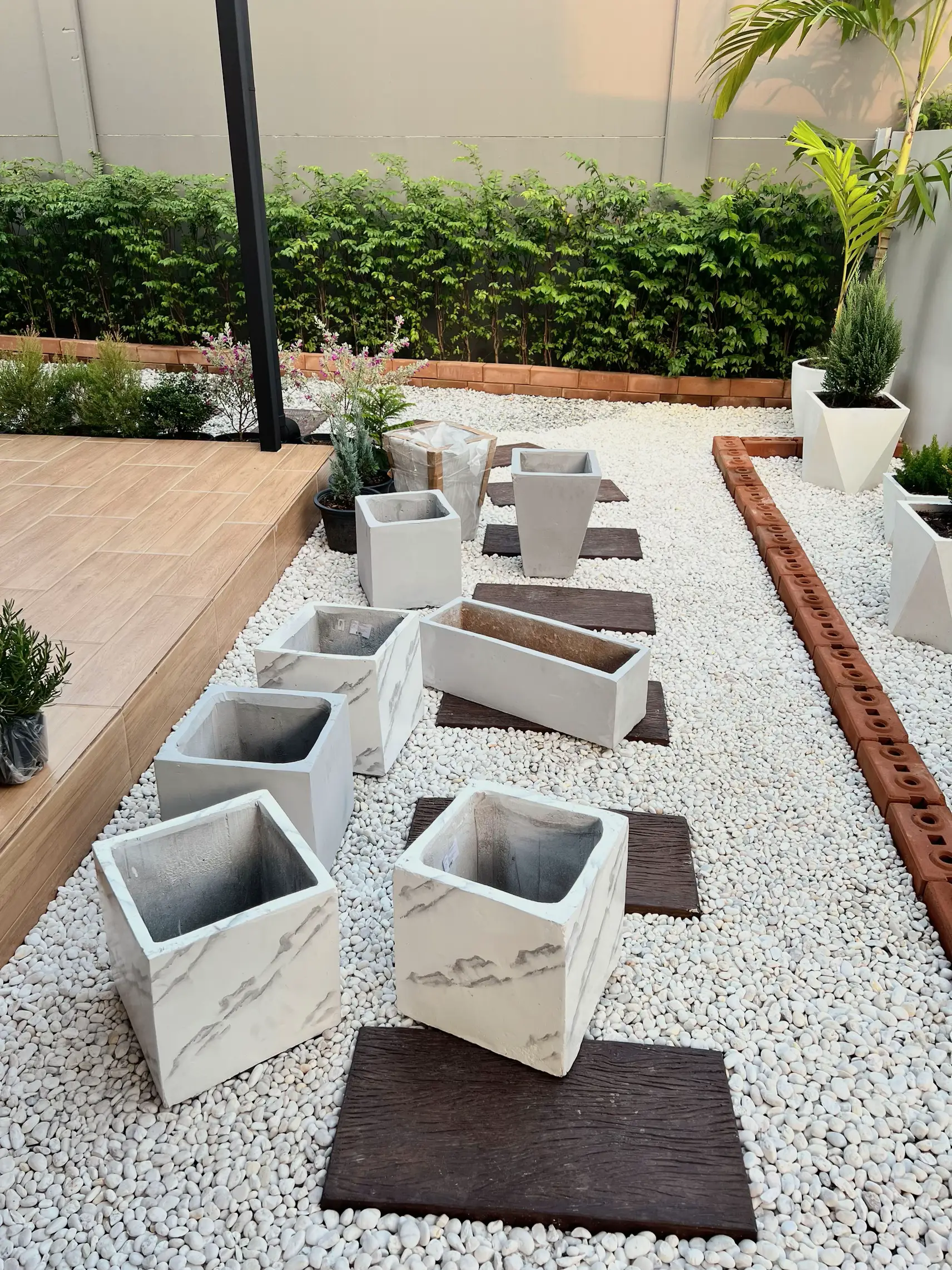 รีวิว สวนข้างบ้าน 🥦🪴🍂 | แกลเลอรีที่โพสต์โดย Pla._.Boo | Lemon8