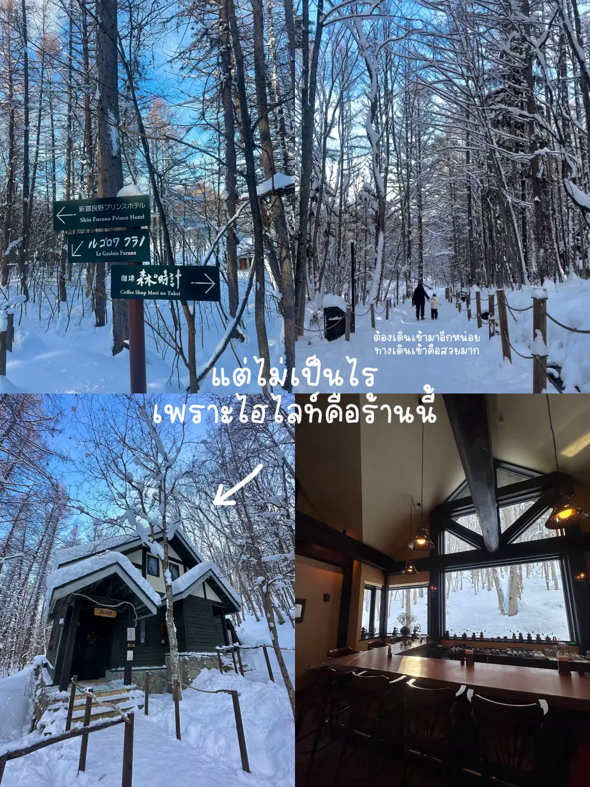 Ningle Terrace goes to the bus. It's beautiful in the morning. 🚎🏠🌳 ...