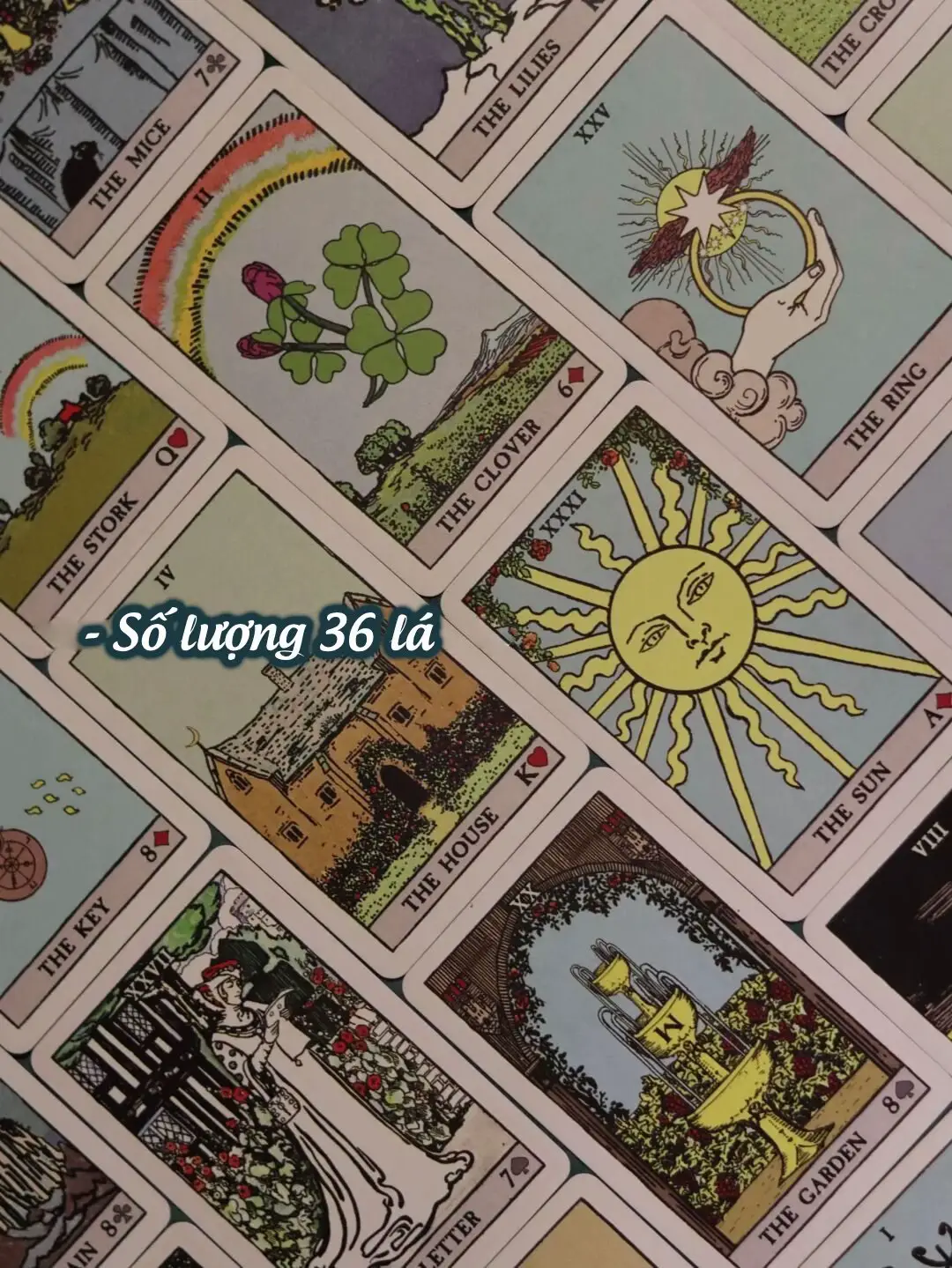 Chibi Vẽ - Tìm kiếm trên Lemon8