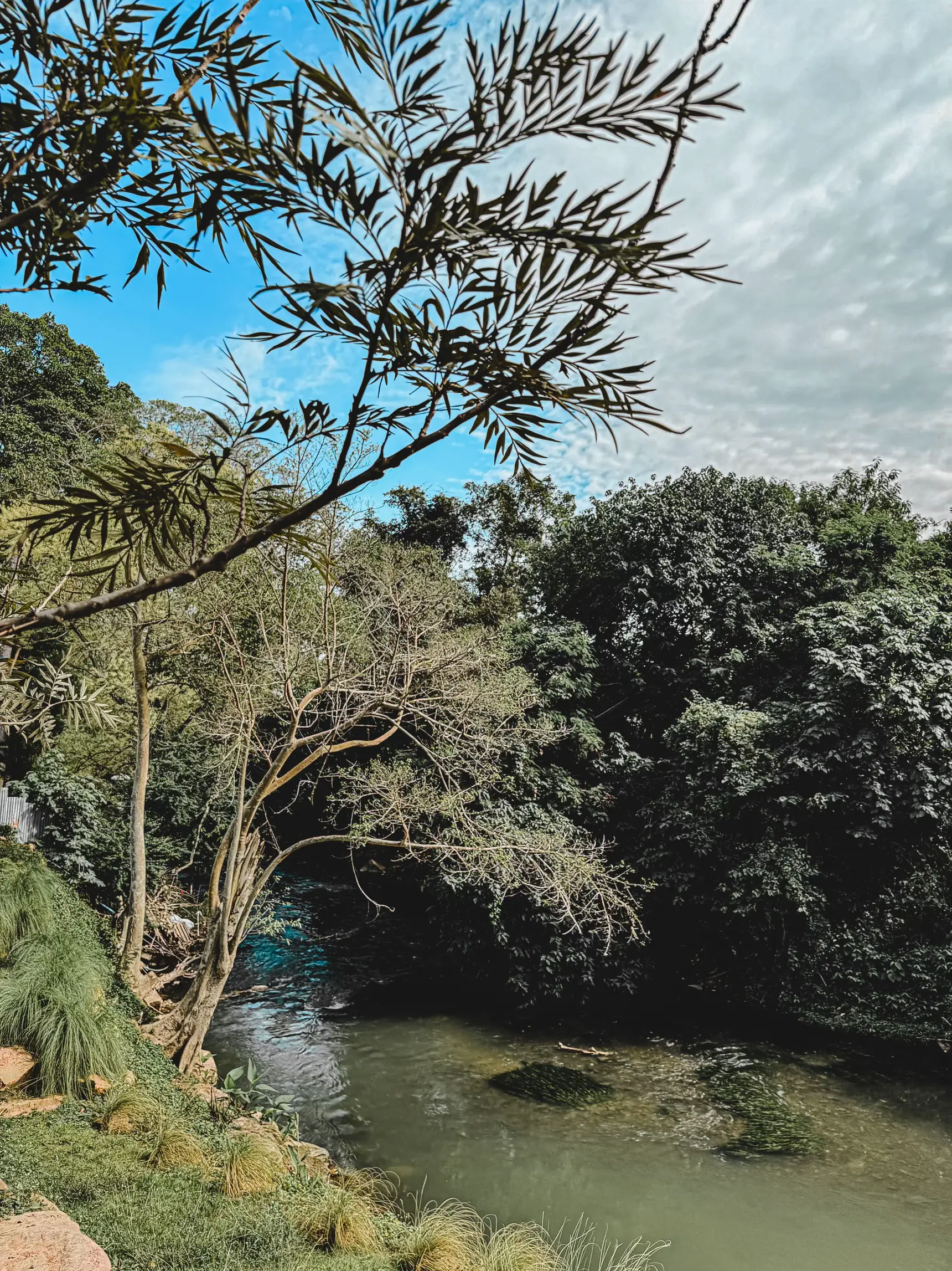 Double shot x Khaoyai | แกลเลอรีที่โพสต์โดย SUPANAN’S | Lemon8