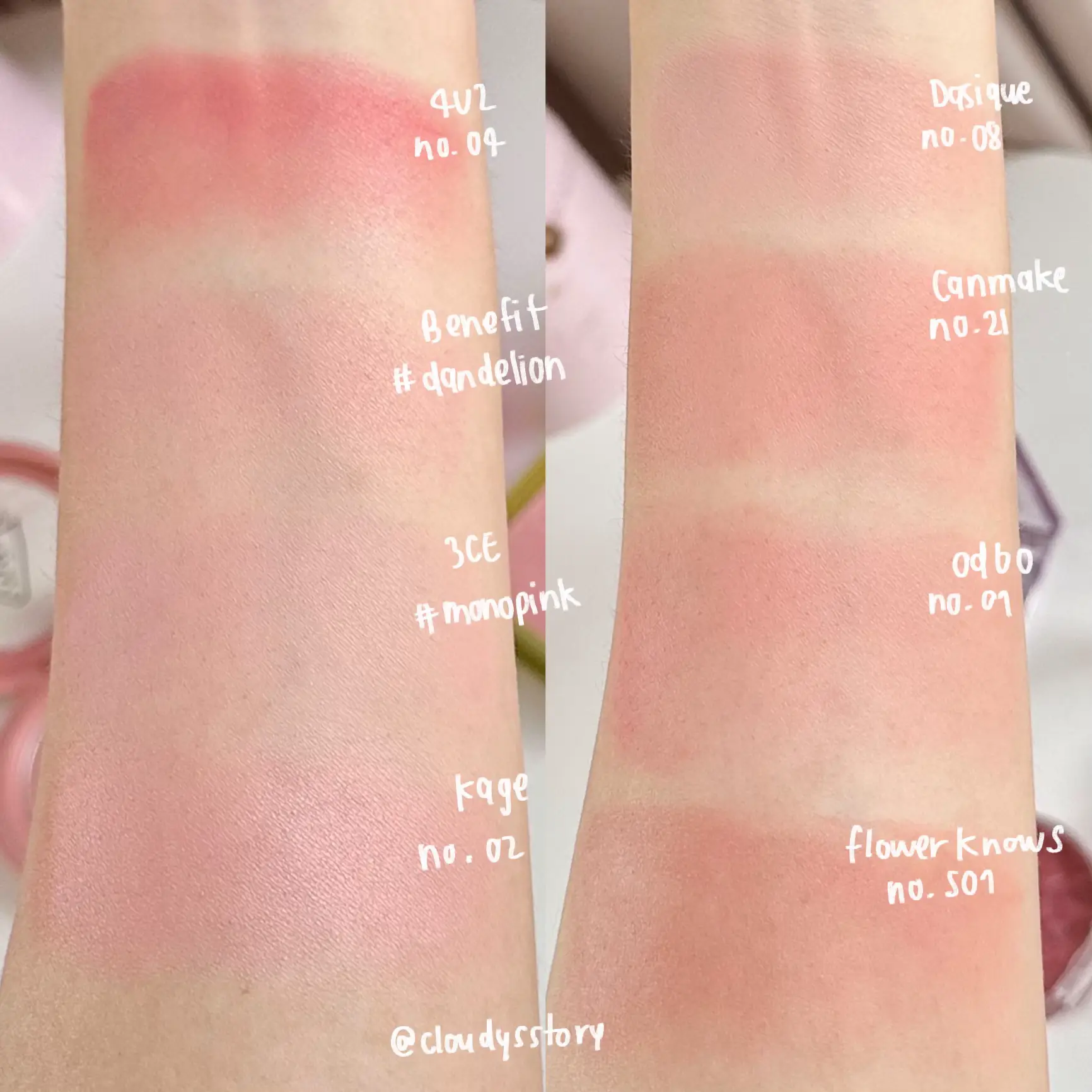 บลัชโทนกลางๆ 🍒🌸 neutral tone blushes | แกลเลอรีที่โพสต์โดย cloudysstory | Lemon8