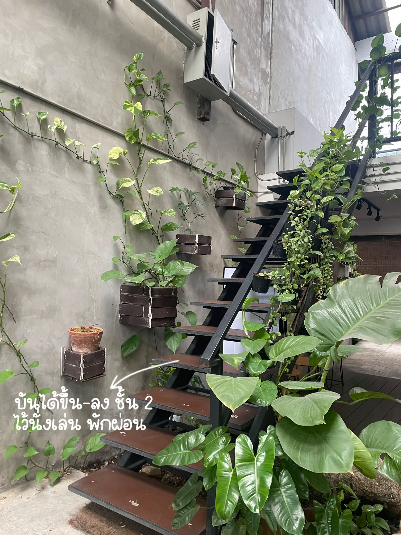 ที่พักแถวเจริญกรุง Lost Inn BKK | แกลเลอรีที่โพสต์โดย Pair'j Venus | Lemon8