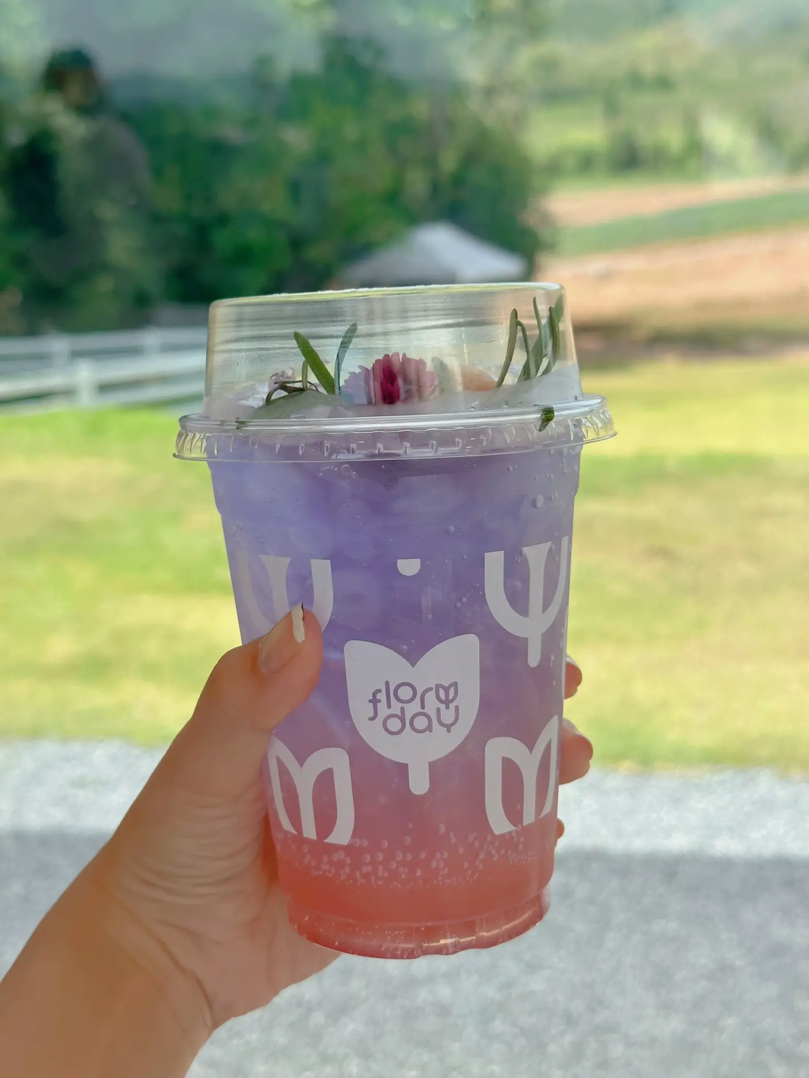 Floryday Khaoyai : Cafe & Flower 🌸 | แกลเลอรีที่โพสต์โดย Satapron | Lemon8