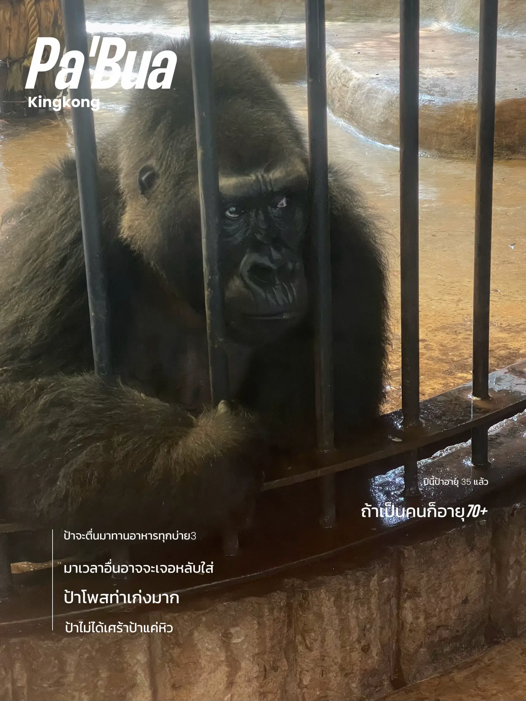 รีวิว PATA ZOO 2024 | แกลเลอรีที่โพสต์โดย Yuraria | Lemon8