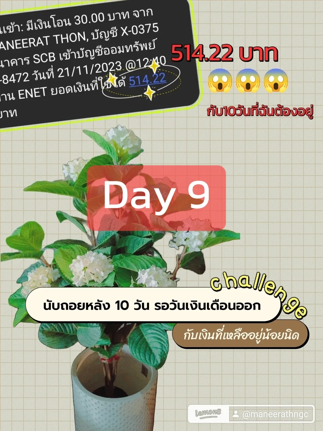 countdown challenge : day 9 | แกลเลอรีที่โพสต์โดย ManeeraThngc | Lemon8