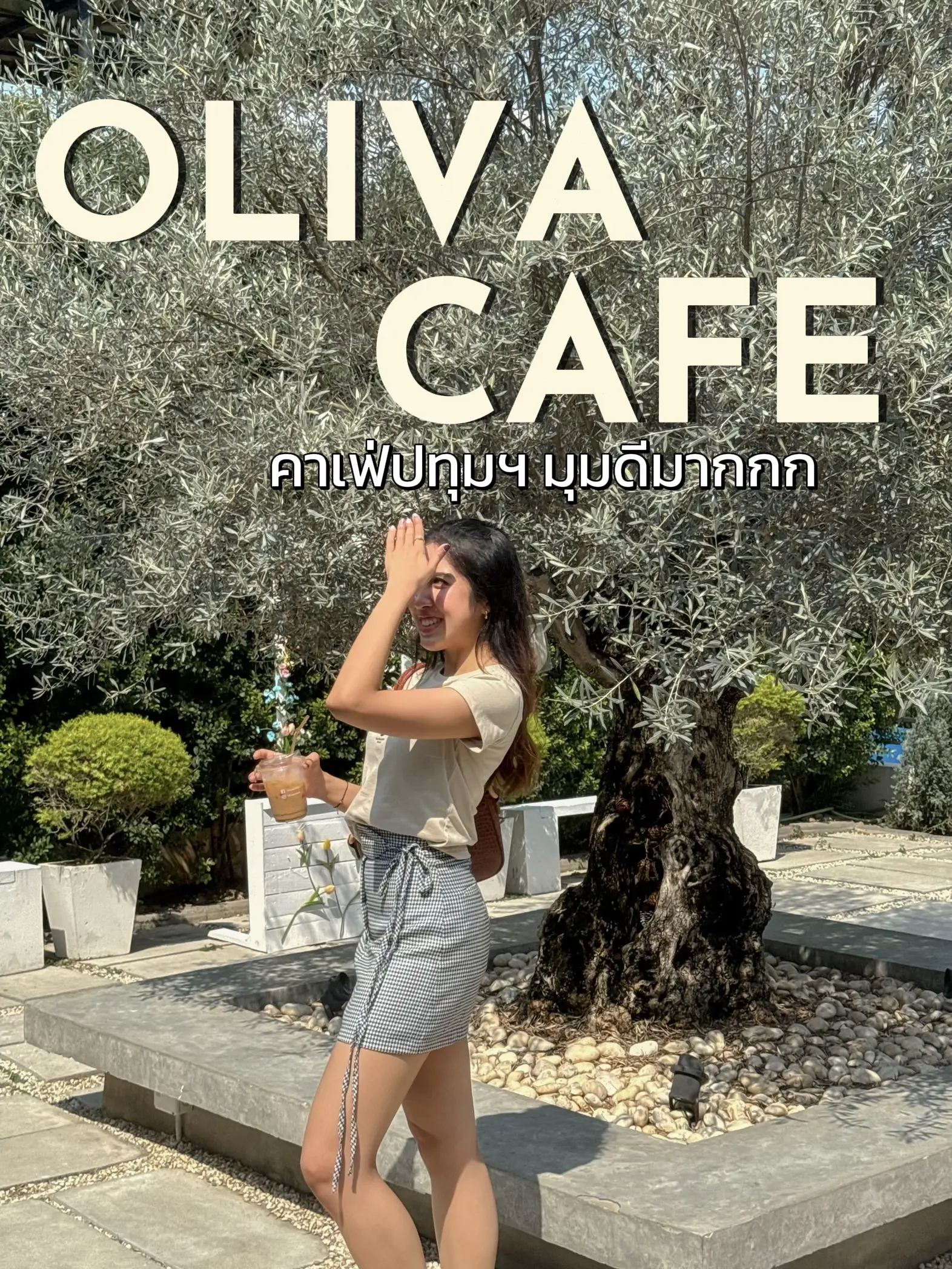 OLIVA CAFE 🫒 คาเฟ่ต้นมะกอก ปทุมธานี | แกลเลอรีที่โพสต์โดย Nanisar.- | Lemon8