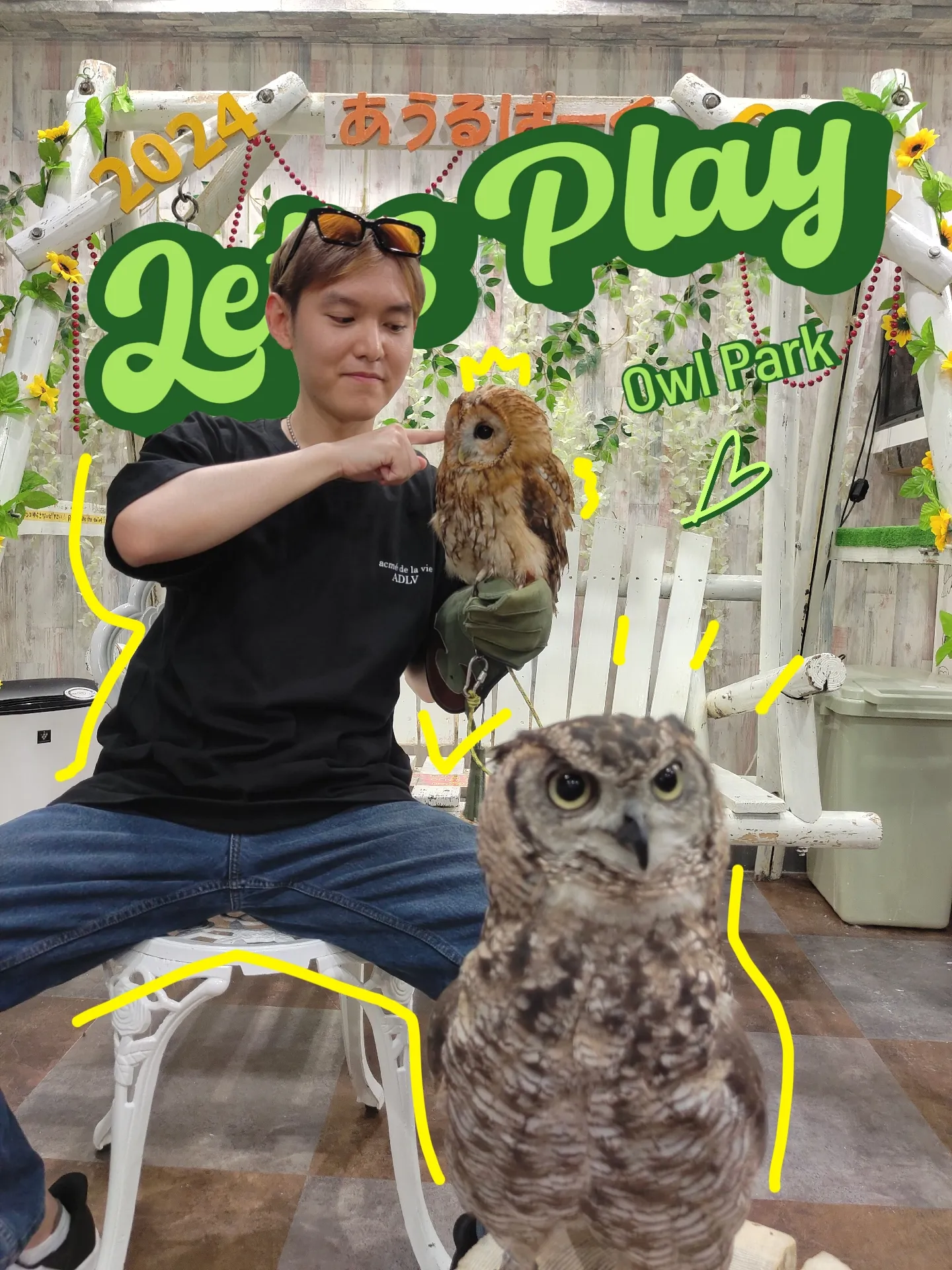 🦉 คาเฟ่นกฮูก ใจกลางโตเกียว ประเทศญี่ปุ่น! 🇯🇵 | แกลเลอรีที่โพสต์โดย PIPEヾﾉ | Lemon8