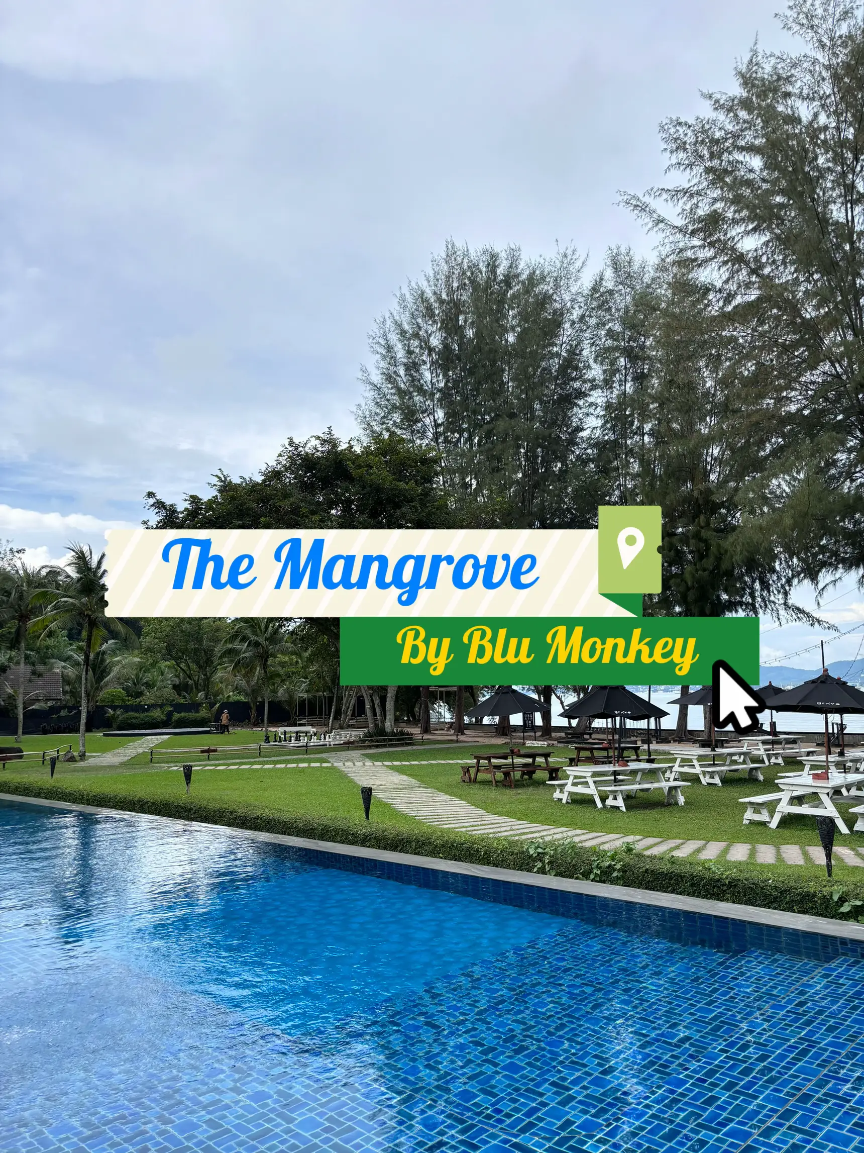 แนะนำที่พักภูเก็ต The Mangrove By Blu Monkey 🐵🏝💗 | แกลเลอรีที่โพสต์โดย ...