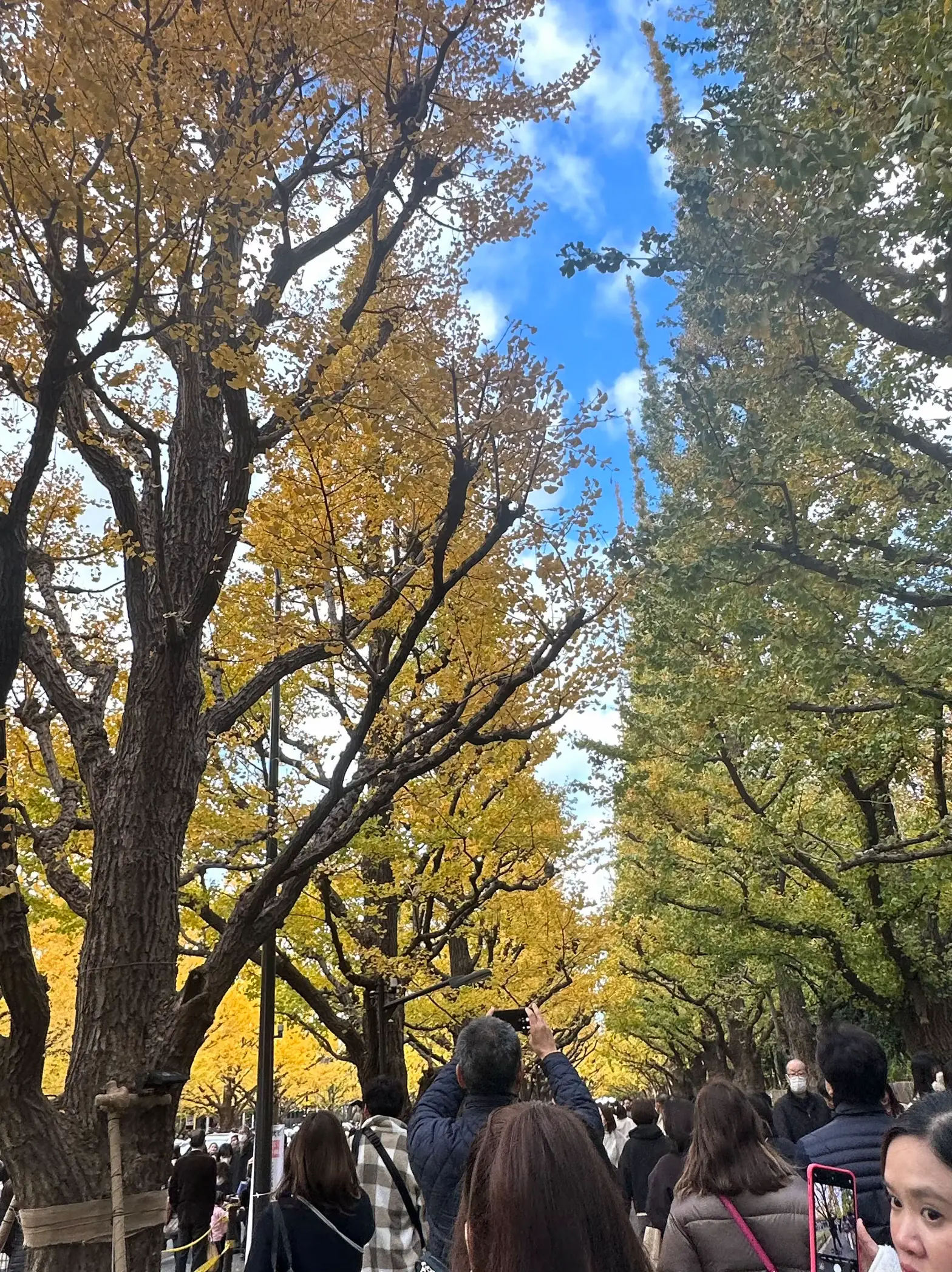 (Tokyo2023) day2 Tsukiji fish market 🪼 | แกลเลอรีที่โพสต์โดย i_____ink | Lemon8