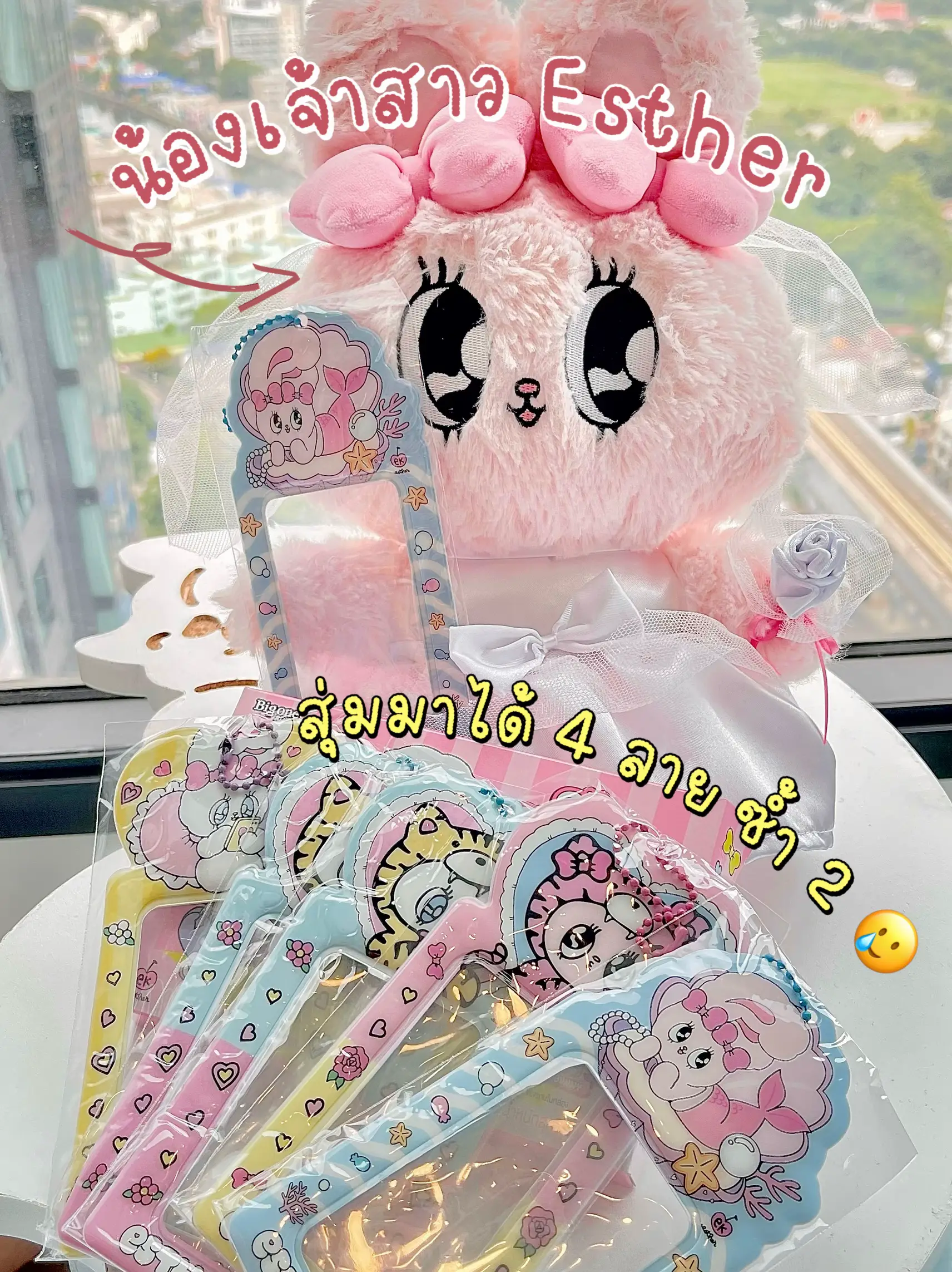 บันนี่กับบันนี่อยู่ด้วยกัน มันก็น่ารักซะด้วย🥹🐰 | แกลเลอรีที่โพสต์โดย New Vanida | Lemon8