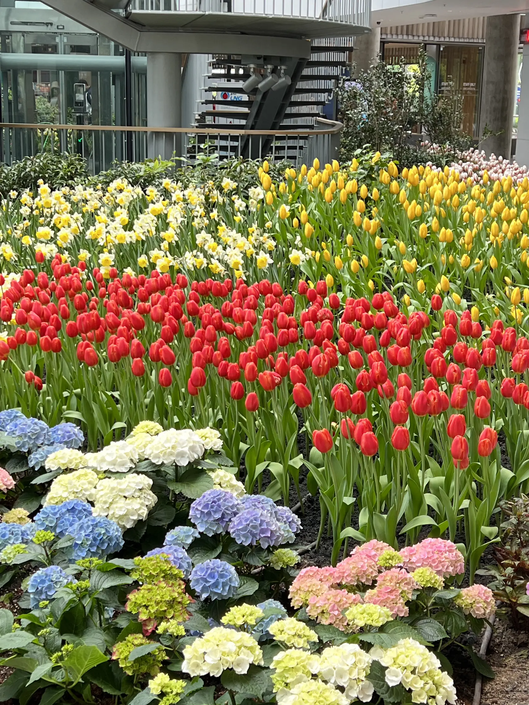 Of natural | แกลเลอรีที่โพสต์โดย Siriyakorn Aoom | Lemon8