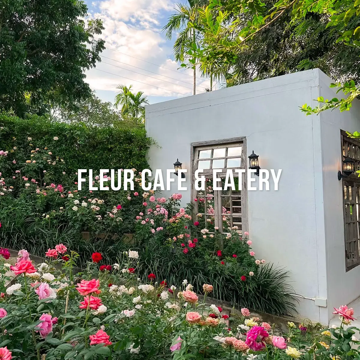 20 ไอเดียยอดนิยมเกี่ยวกับ คาเฟ่เชียงใหม่ ถ่ายรูป ในปี 2024