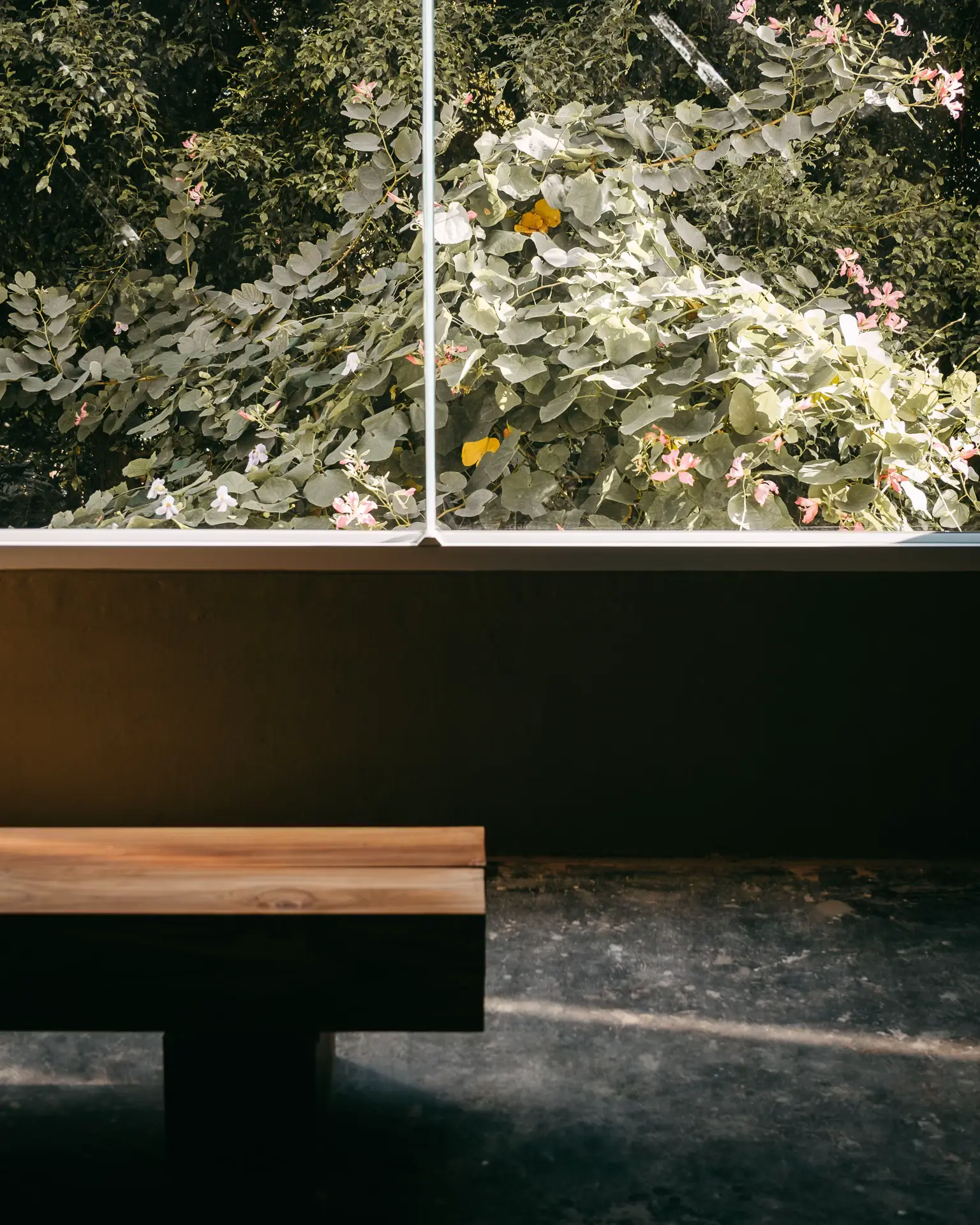 Pulse Phra-Arthit คาเฟ่ในตึกเก่าอบอุ่น Cozy ถ.พระอาทิตย์ | แกลเลอรีที่ ...