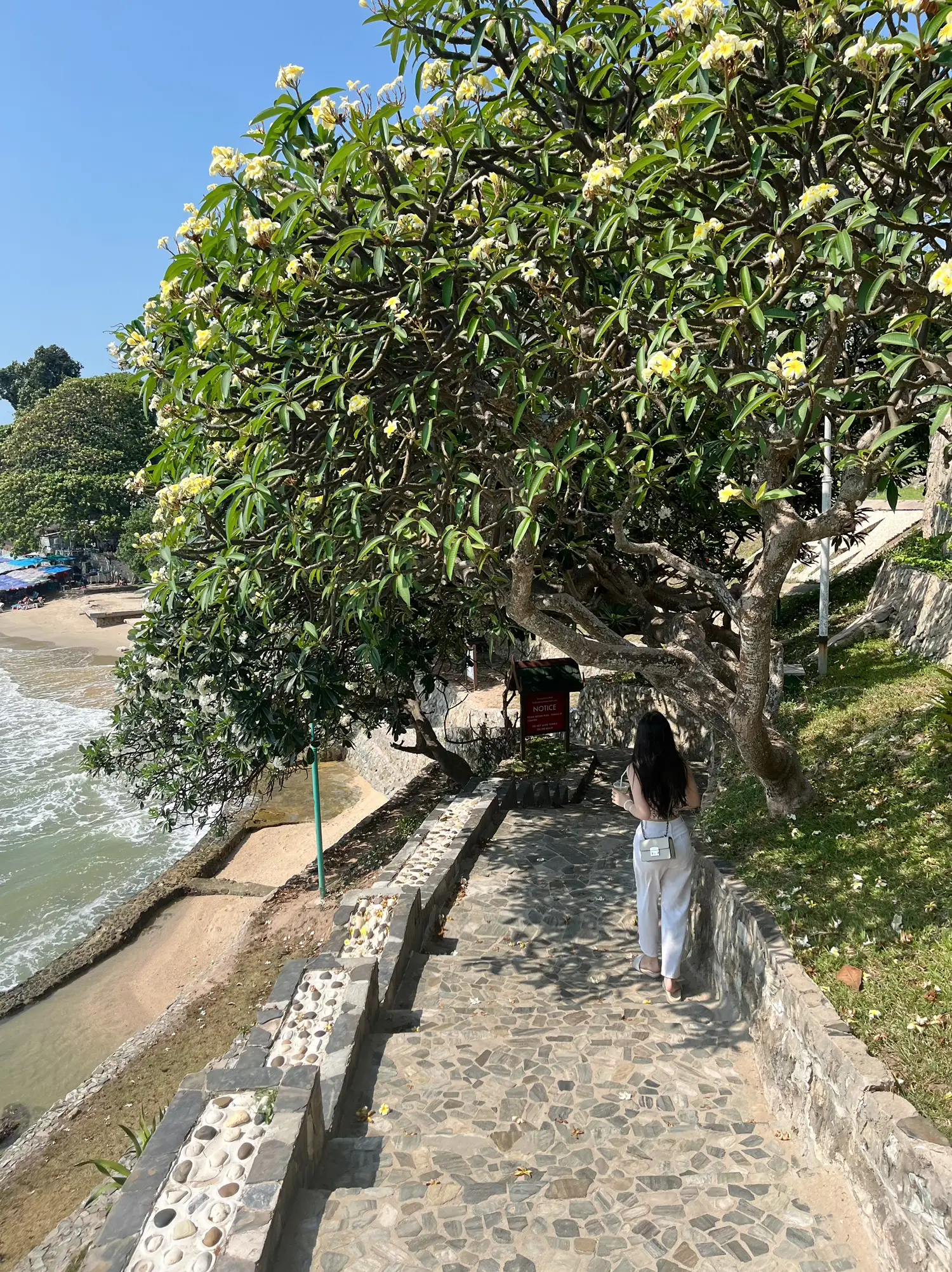 Sunny Beach House Pattaya | แกลเลอรีที่โพสต์โดย M | Lemon8