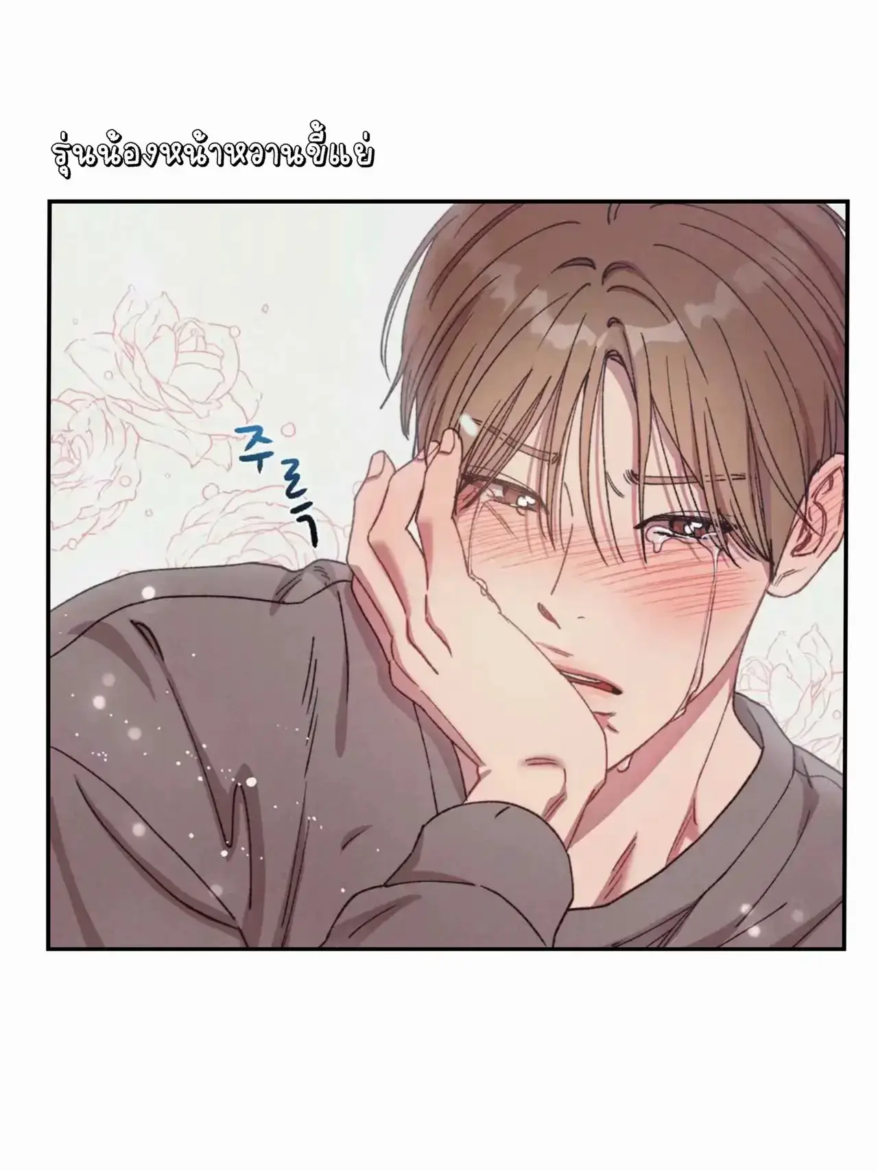 แนะนํามังฮวาวายแปลไทย - การค้นหาใน Lemon8