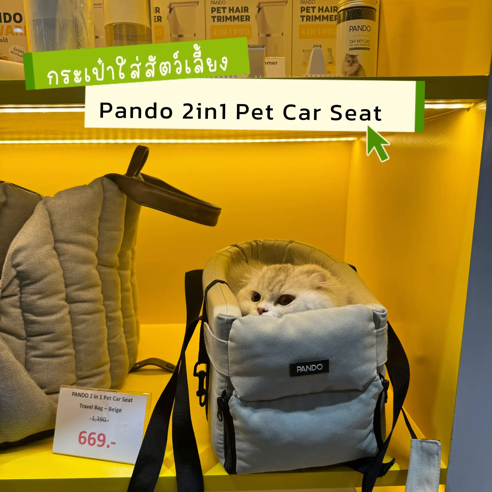 น้องชิชวนมาช้อปที่บูธ Pando P592,596-7 Pet Expo Thailand | แกลเลอรีที่โพสต์โดย Gangsammeaw | Lemon8