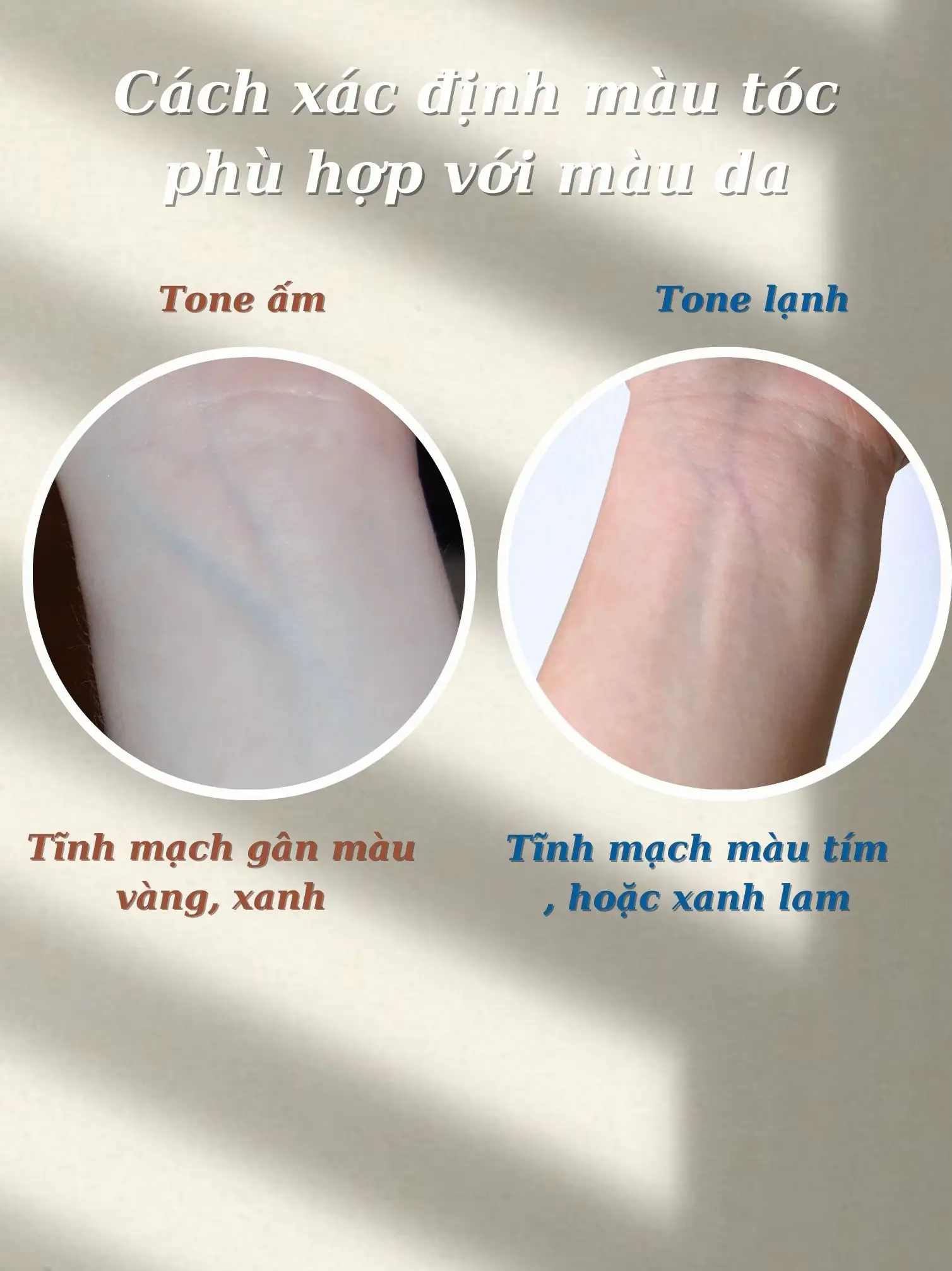 Cách lựa chọn màu tóc phù hợp với làn da | Bộ sưu tập do Th.dunh đăng | Lemon8