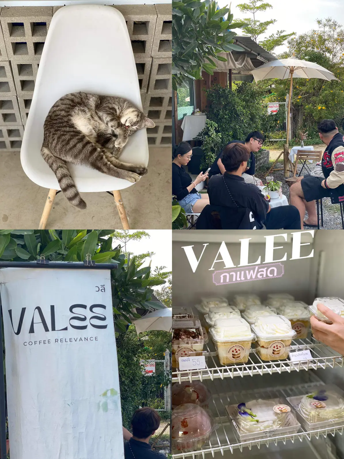 VALEE กาแฟสด ข้างรางรถไฟลำพูน🪄🪞 | แกลเลอรีที่โพสต์โดย Cakee_story | Lemon8