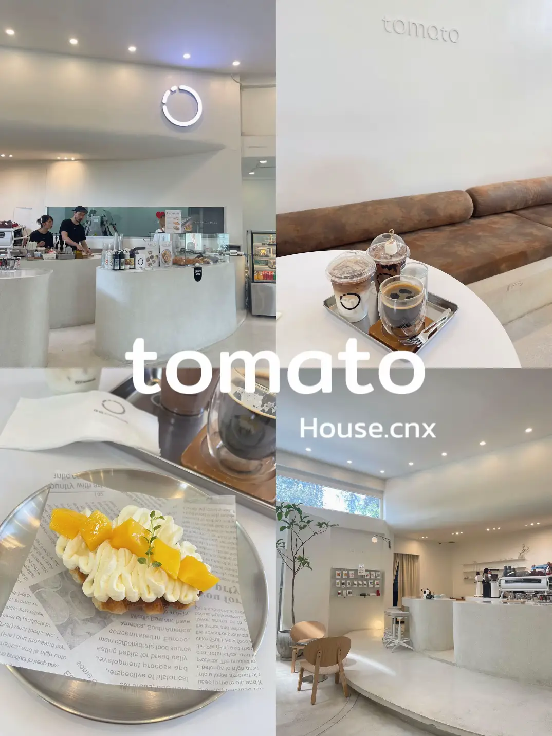 tomato house.cnx ☕️ | แกลเลอรีที่โพสต์โดย SANDEE LIKEACAT | Lemon8