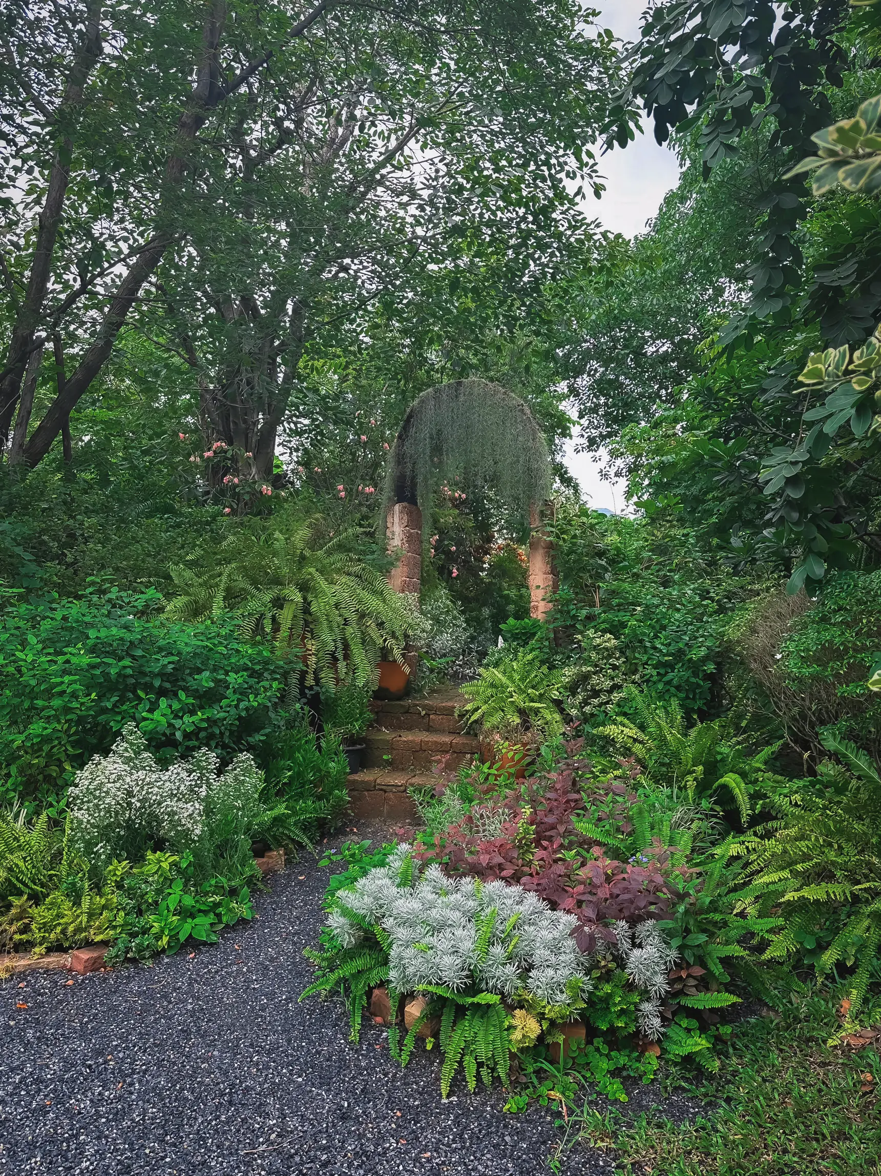 Cafe ห้ามพลาด🥤 | แกลเลอรีที่โพสต์โดย Tuck | Lemon8