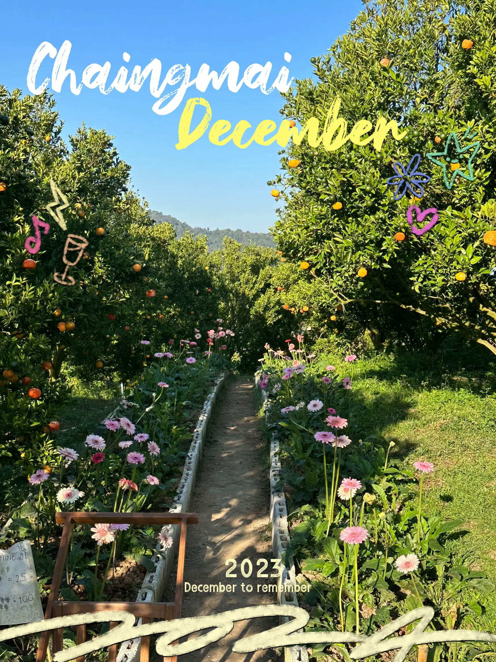 December to remember | แกลเลอรีที่โพสต์โดย Sugarpat | Lemon8