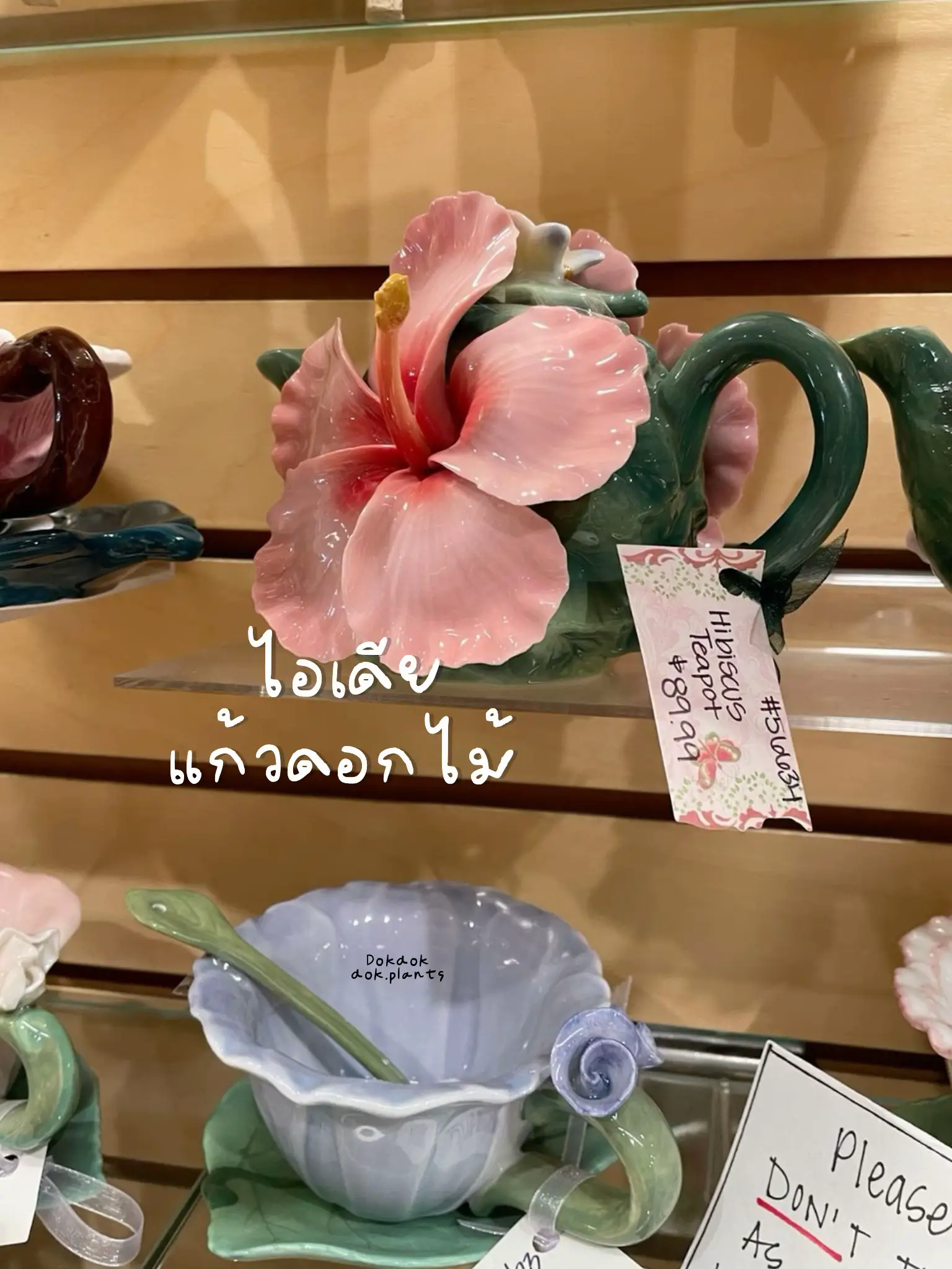 สายแฮนเมดดดต้องเซฟ🥣🎀 | แกลเลอรีที่โพสต์โดย Dokdokdok.plant | Lemon8