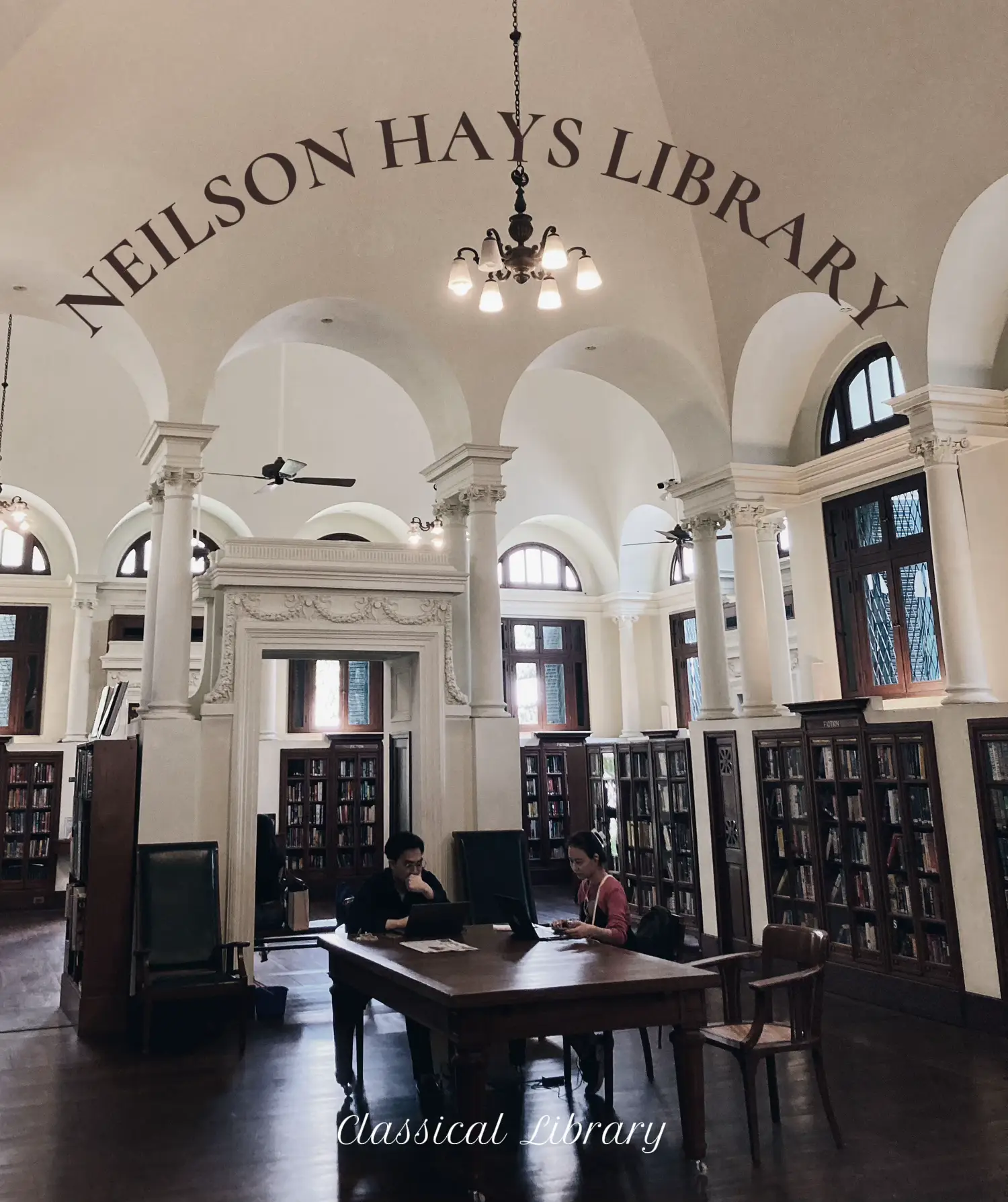 ห้องสมุดสไตล์คลาสสิก: Neilson Hays Library 📖🤎 | แกลเลอรีที่โพสต์โดย ...