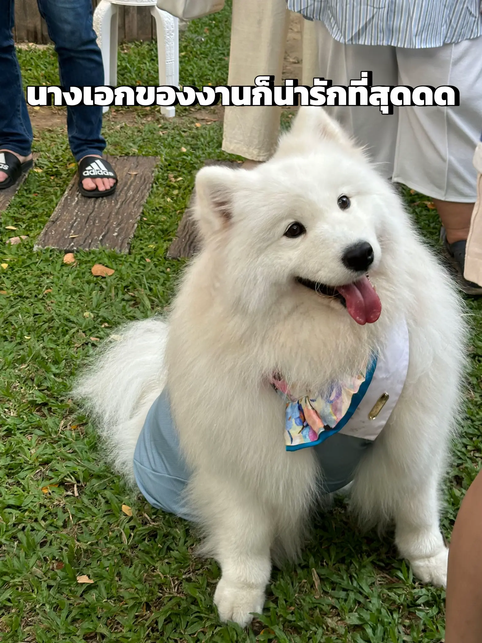 ไปเป็นพี่เลี้ยงออฟไลน์ของคุณหนูมะลิ1วัน🐻‍ ️ | แกลเลอรีที่โพสต์โดย 08.atom.diary | Lemon8