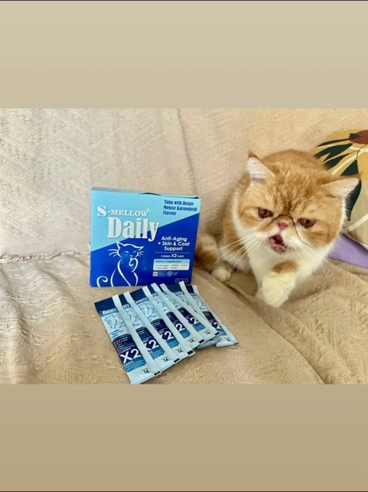 ขนมแมวเลีย S-mellow daily เน้นบำรุงสุขภาพแมว | แกลเลอรีที่โพสต์โดย น.น. ...